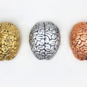 Brain Sculpture / Wall Artwork | Etsy