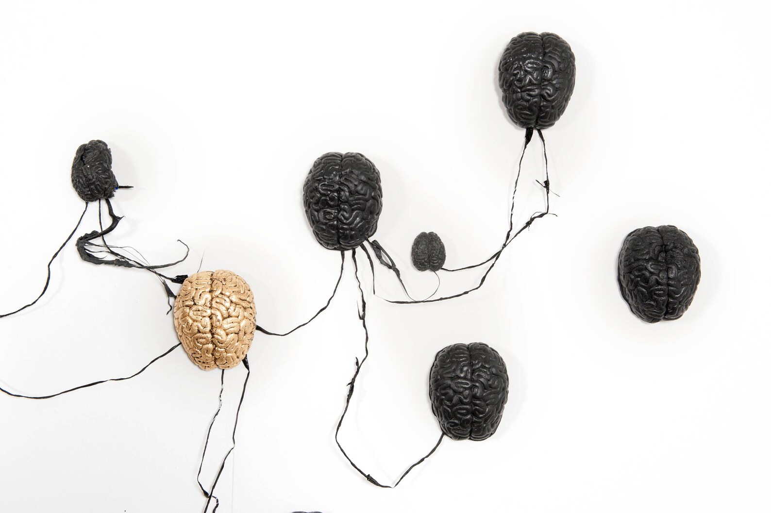 Brain Sculpture / Wall Artwork - Etsy