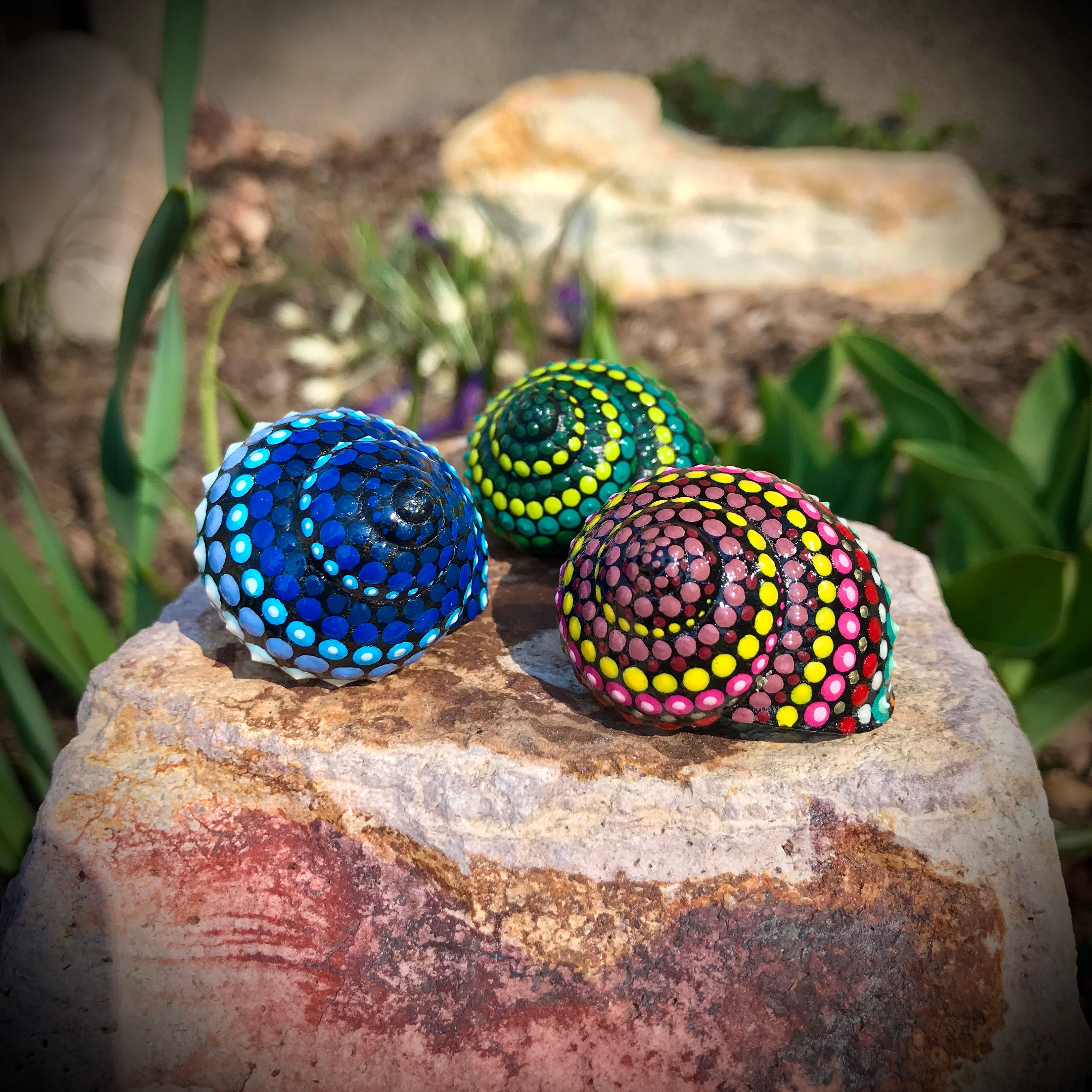 3 Amazing Dot Painted Snail Shells, Mother's Day Gift Idea, Ocean and ...