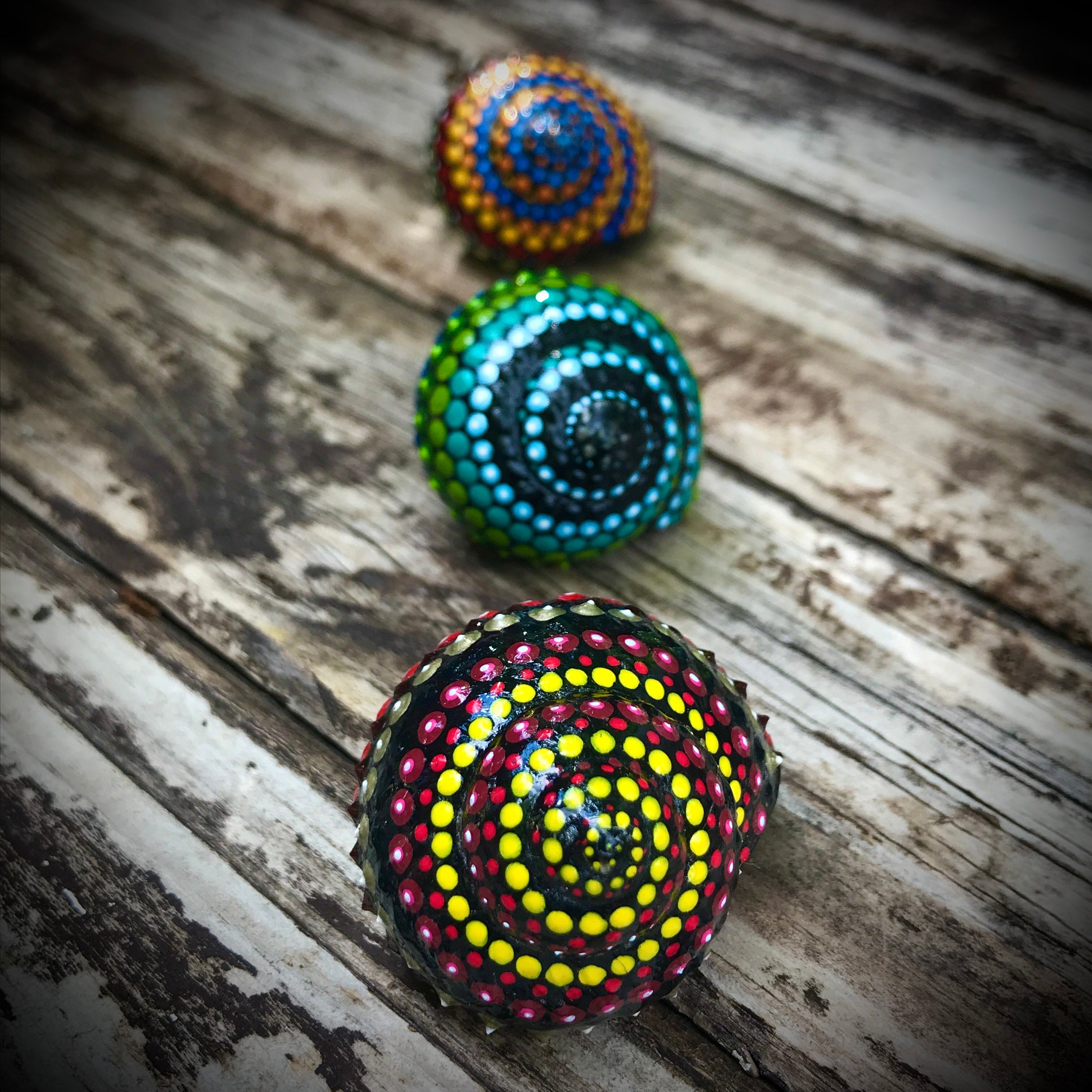 3 Beautiful Dot Painted Rainbow Snail Shells, Hand Painted Thank You ...