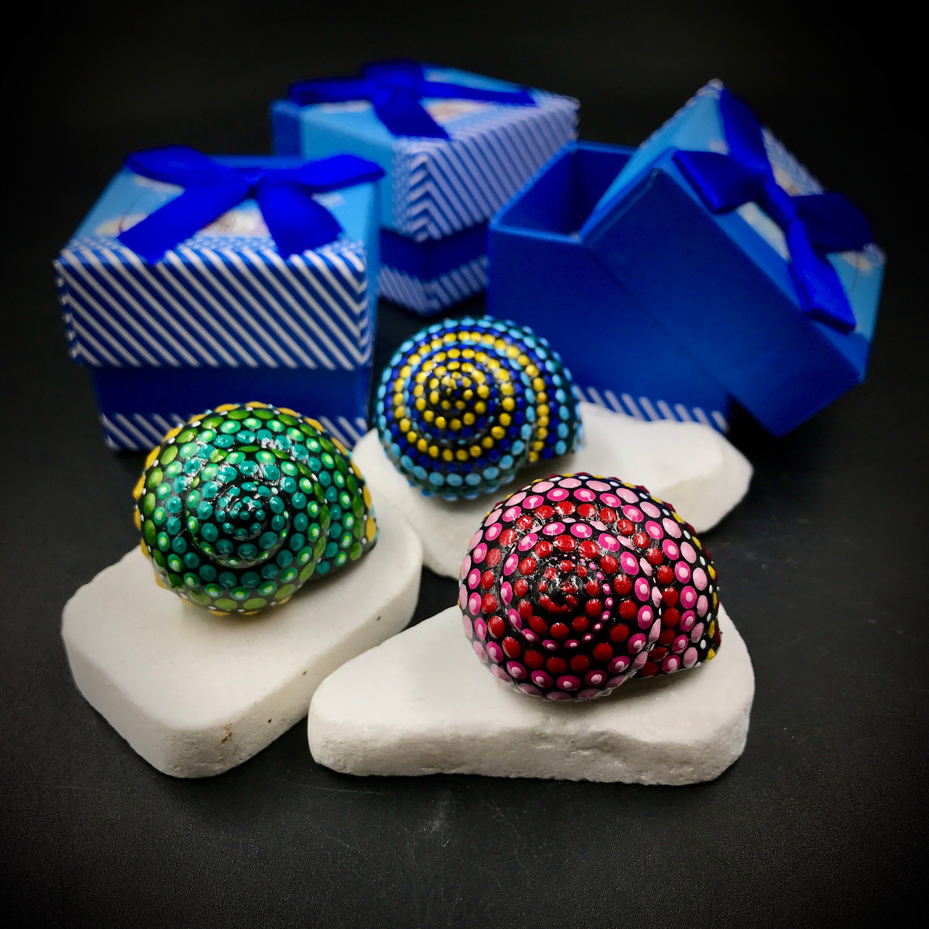 3 Dot Painted Colourful Snail Shells - Etsy