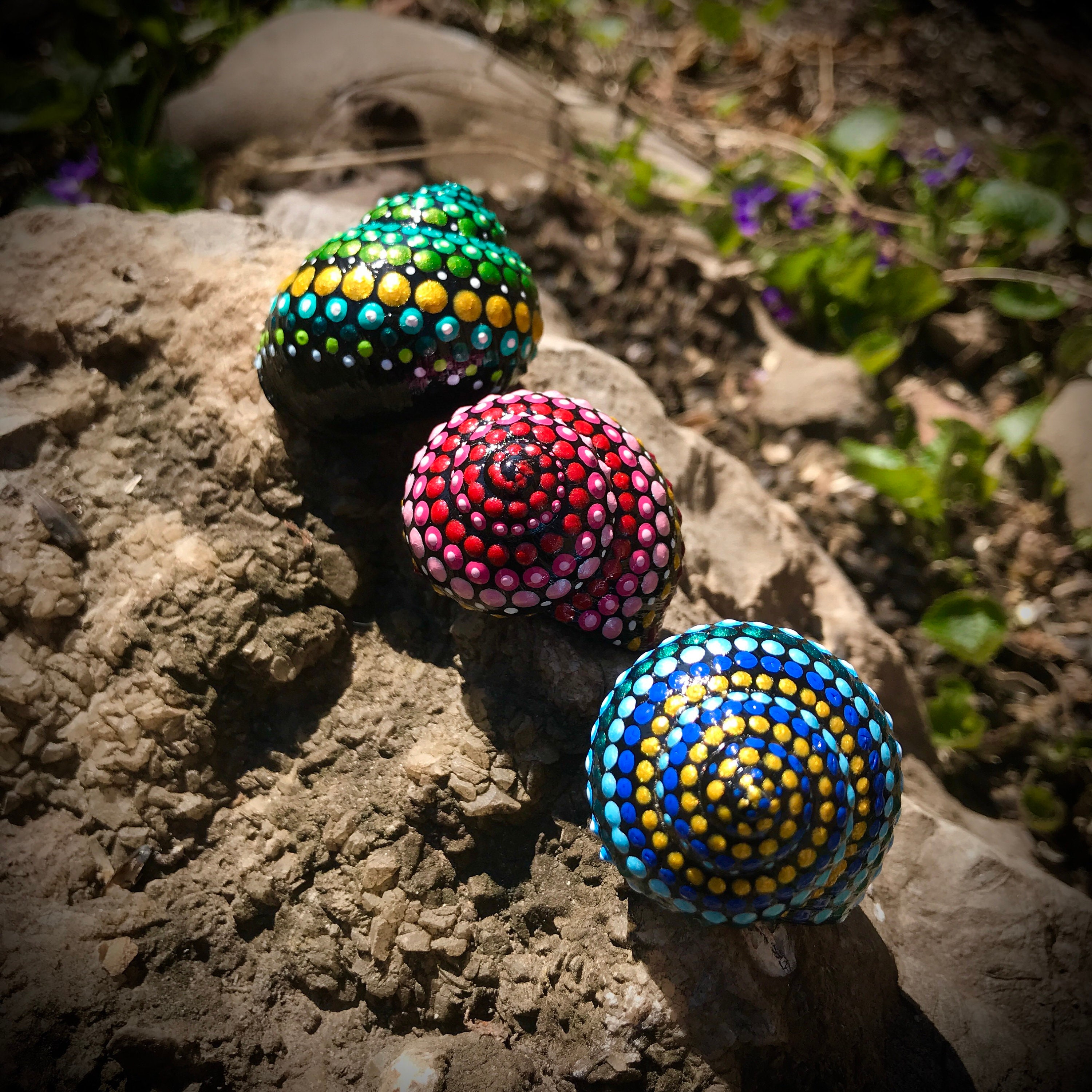 3 Dot Painted Colourful Snail Shells - Etsy