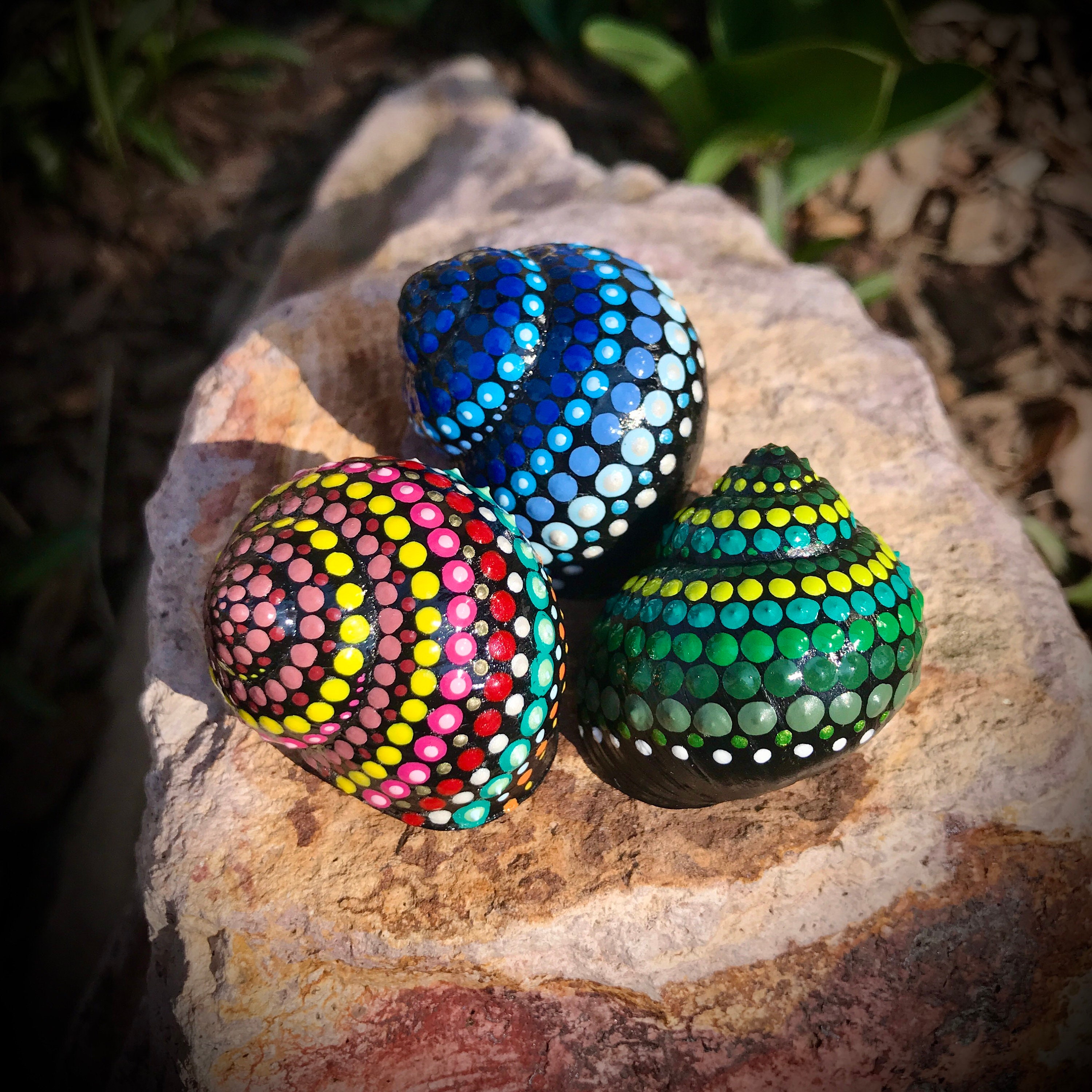 3 Amazing Dot Painted Snail Shells, Mother's Day Gift Idea, Ocean and ...
