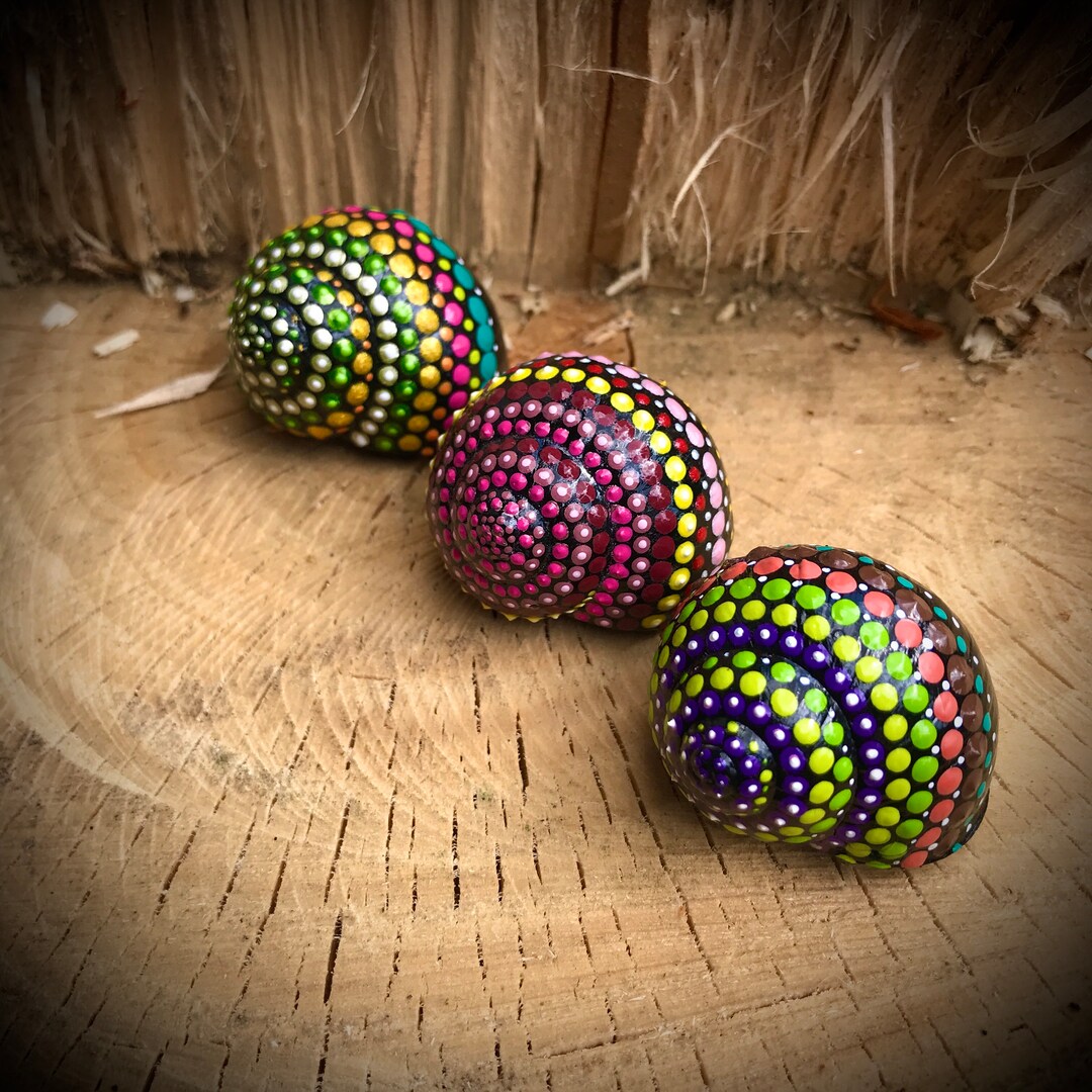 3 Dot Painted Rainbow Coloured Snail Shells, Beautiful Natural Gift ...