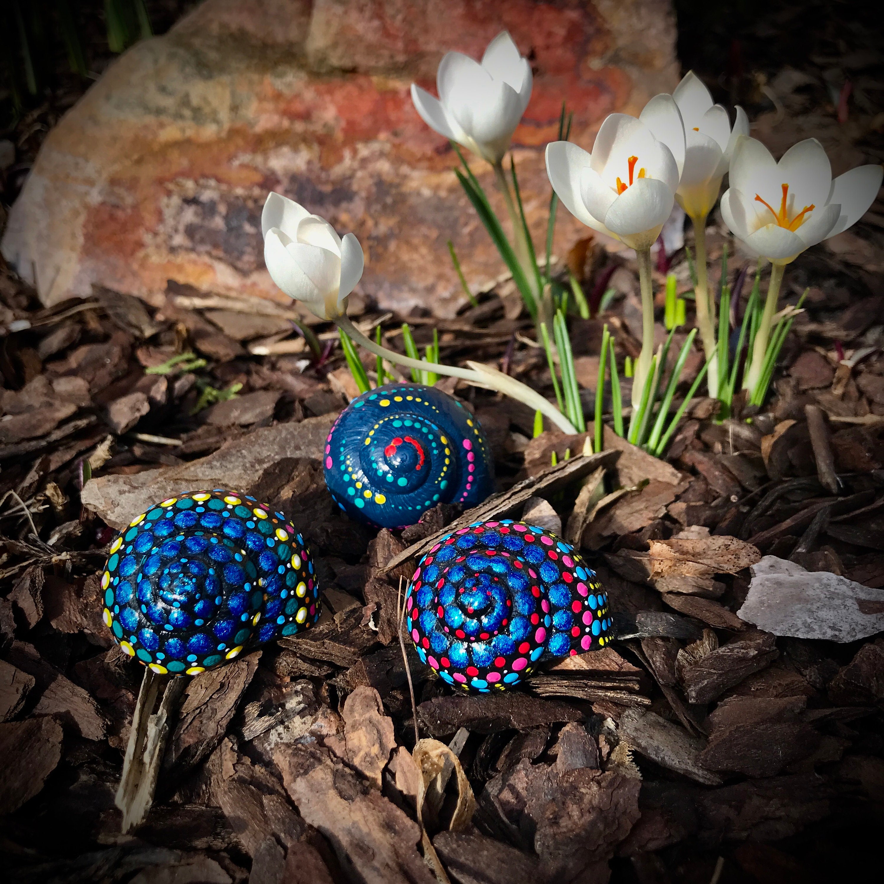 3 Beautiful Dot Painted Snail Shells, Holiday Gift for Friends, Welcome ...