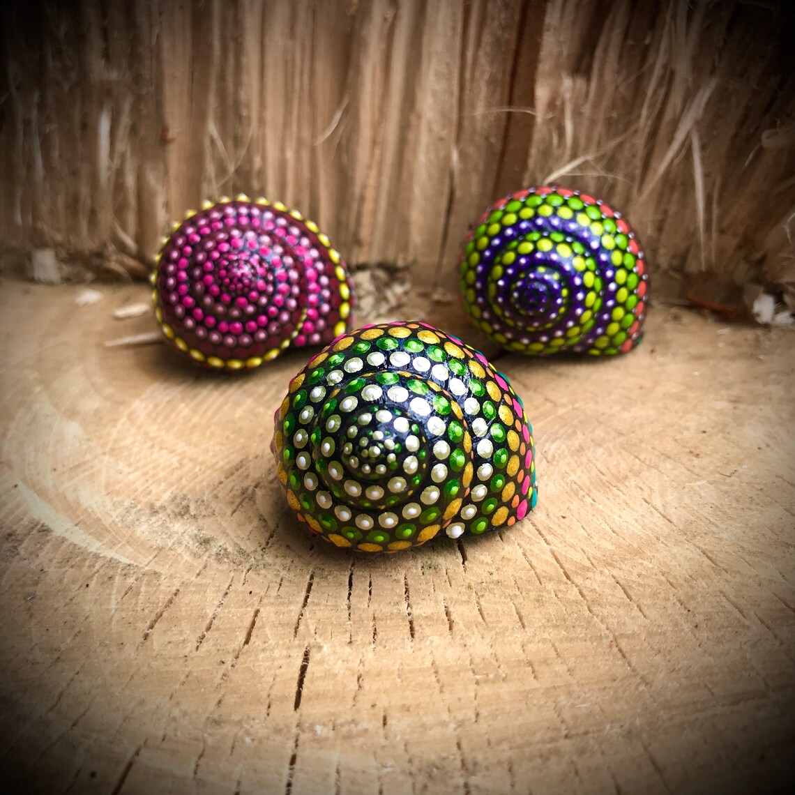 3 Dot Painted Rainbow Coloured Snail Shells, Beautiful Natural Summer ...