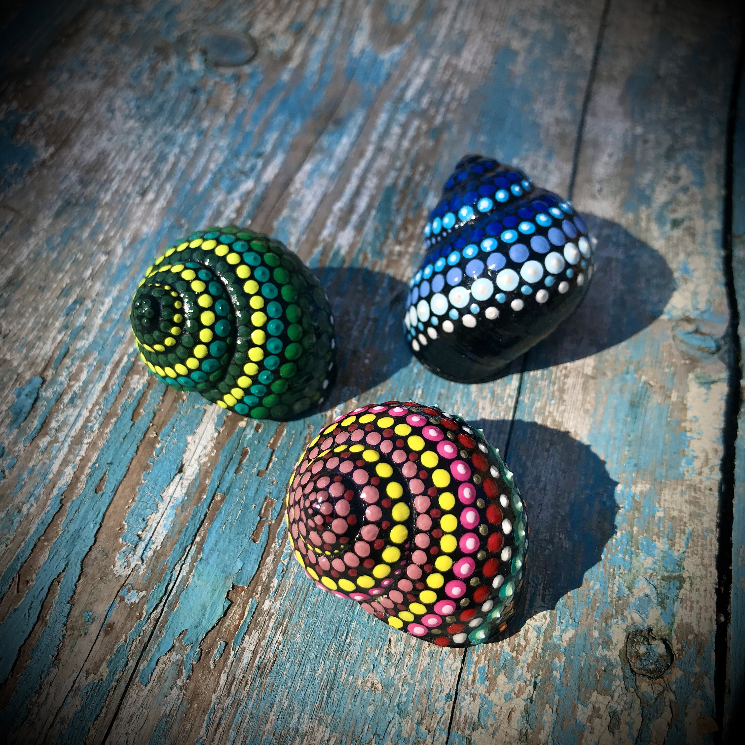 3 Amazing Dot Painted Snail Shells, Mother's Day Gift Idea, Ocean and ...