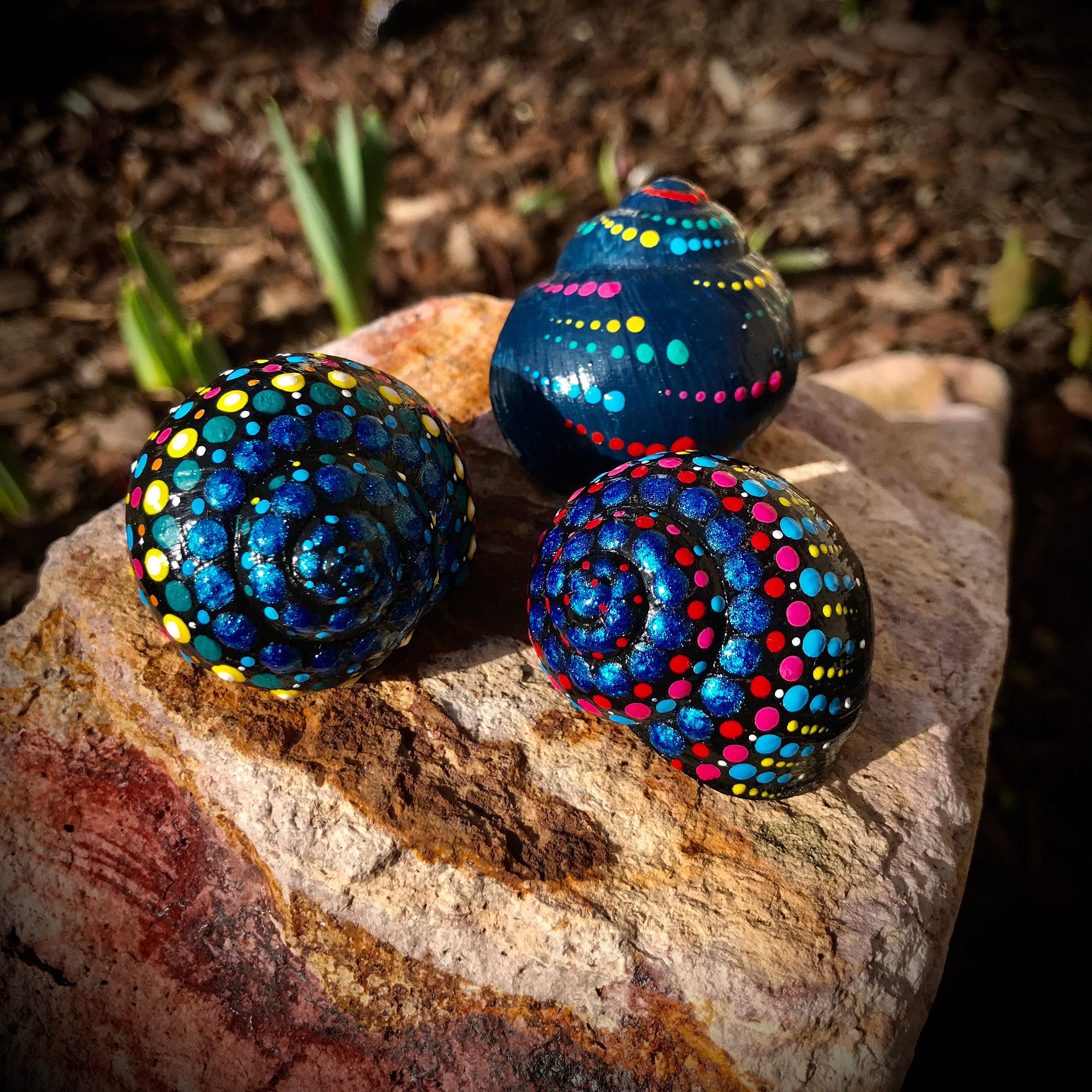 3 Beautiful Dot Painted Snail Shells, Holiday Gift for Friends, Welcome ...