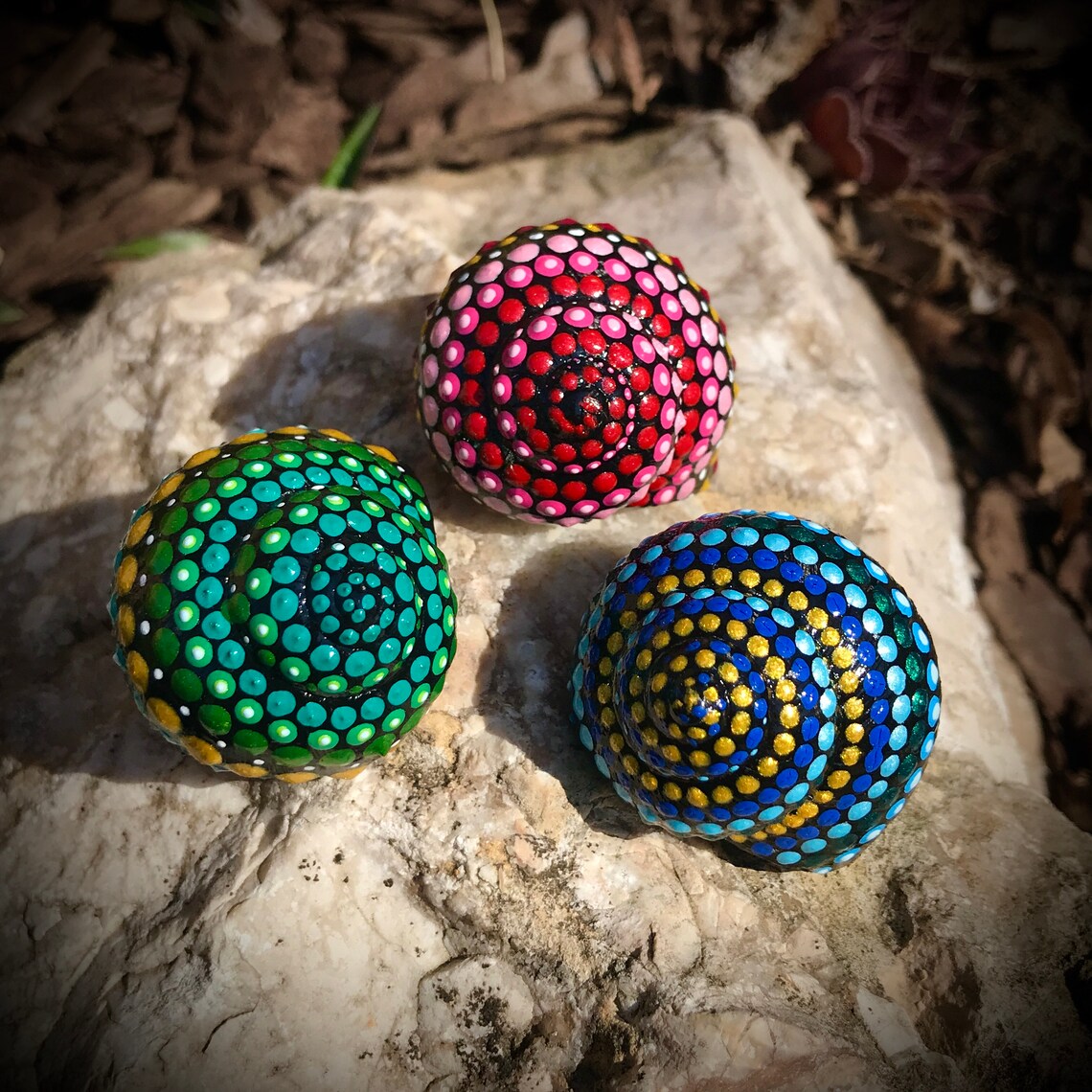 3 Dot Painted Colourful Snail Shells - Etsy
