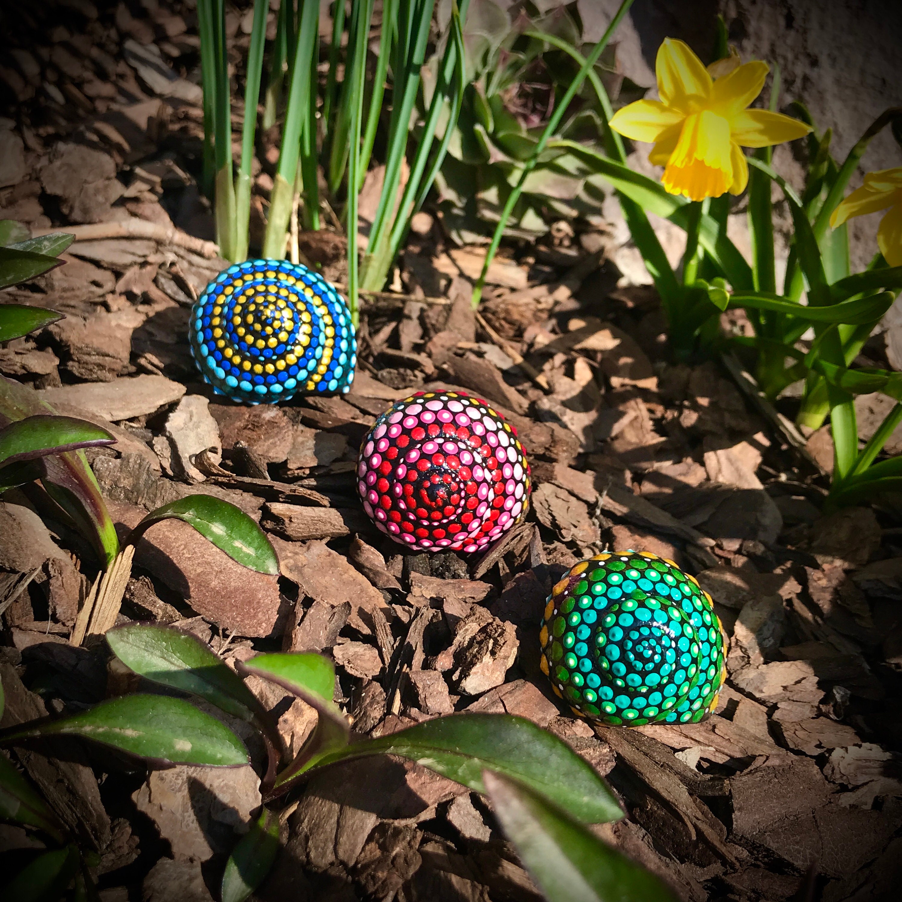 3 Dot Painted Colourful Snail Shells, Mother's Day Gift Idea, One of a ...