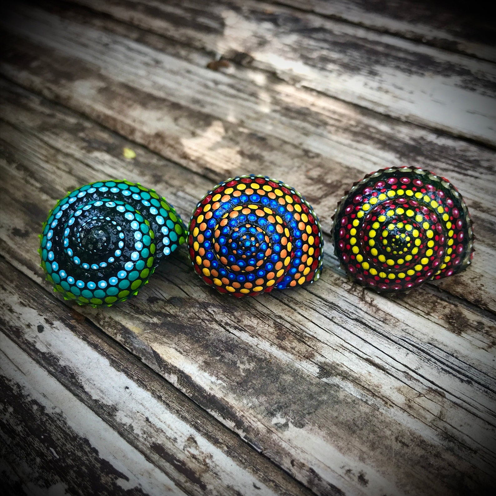 3 Beautiful Dot Painted Rainbow Snail Shells, Hand Painted Thank You ...