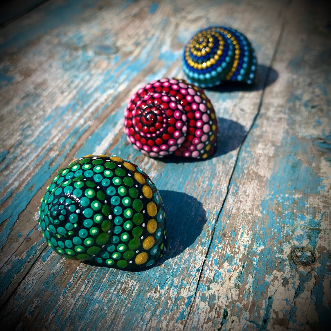 3 Dot Painted Colourful Snail Shells - Etsy