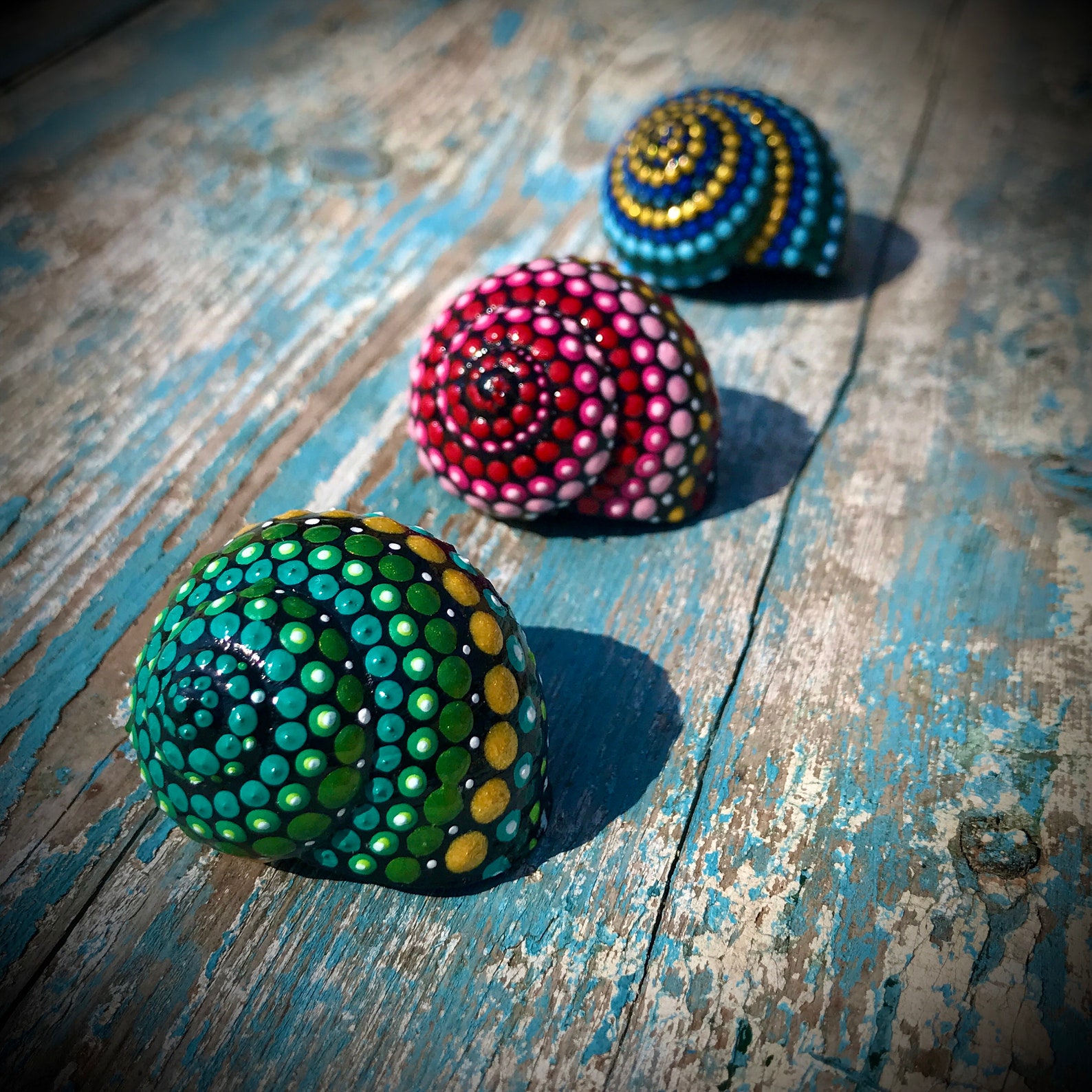 3 Dot Painted Colourful Snail Shells - Etsy