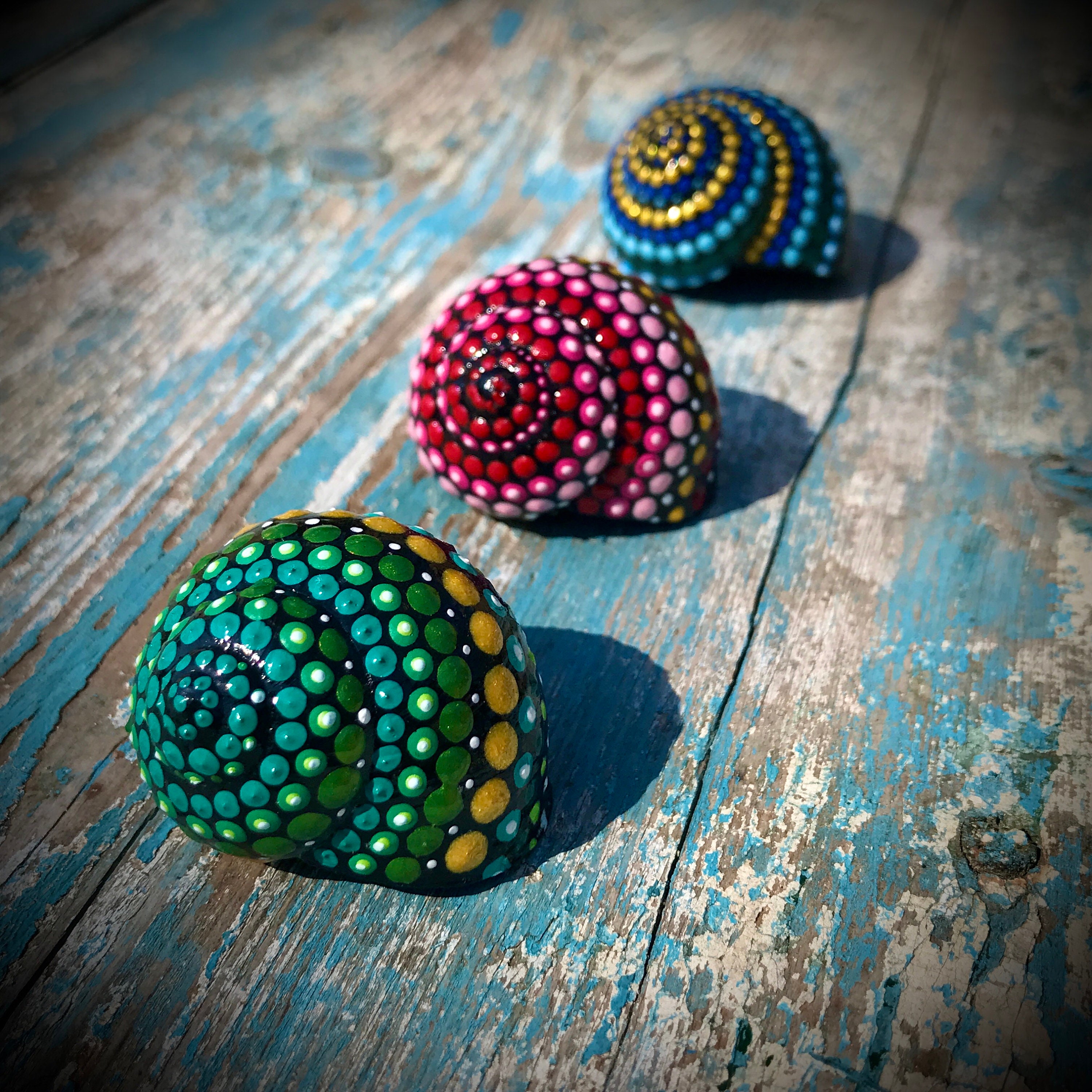 3 Dot Painted Colourful Snail Shells - Etsy