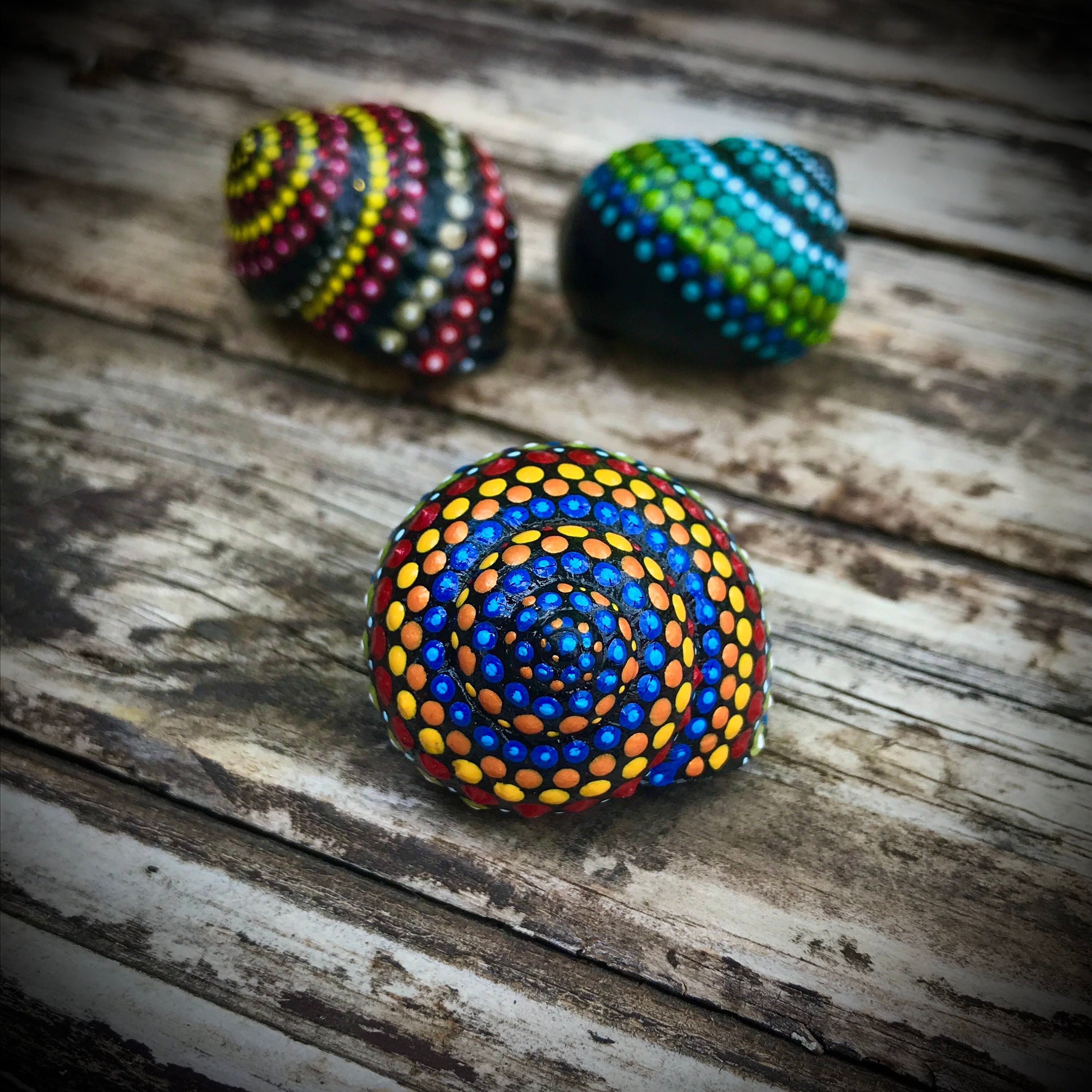3 Beautiful Dot Painted Rainbow Snail Shells, Hand Painted Thank You ...