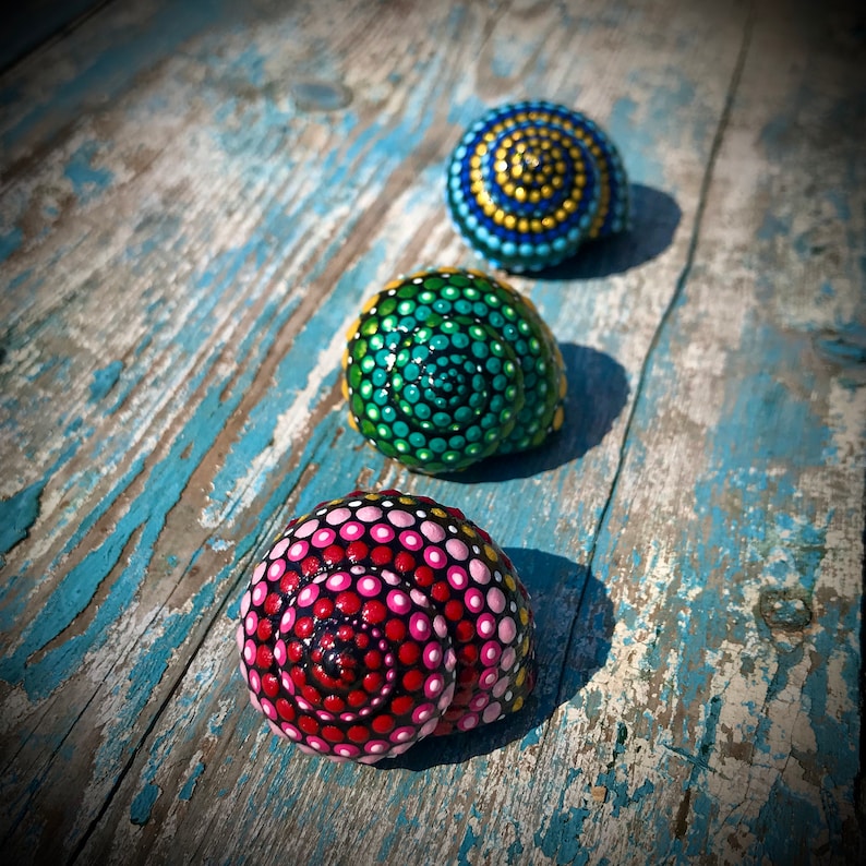 Set of 3 Dot Painted Colourful Snail Shells - Etsy