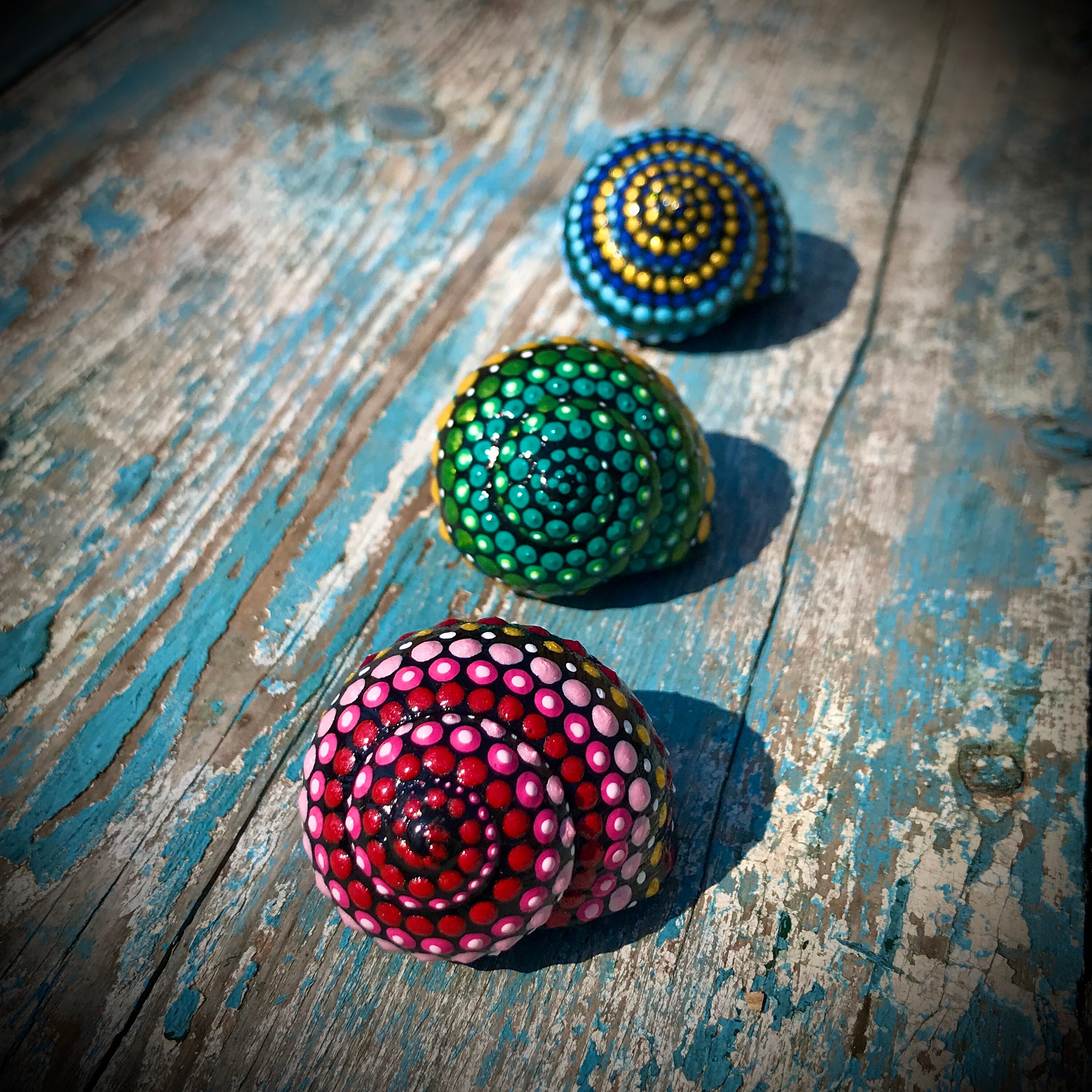 3 Dot Painted Colourful Snail Shells - Etsy