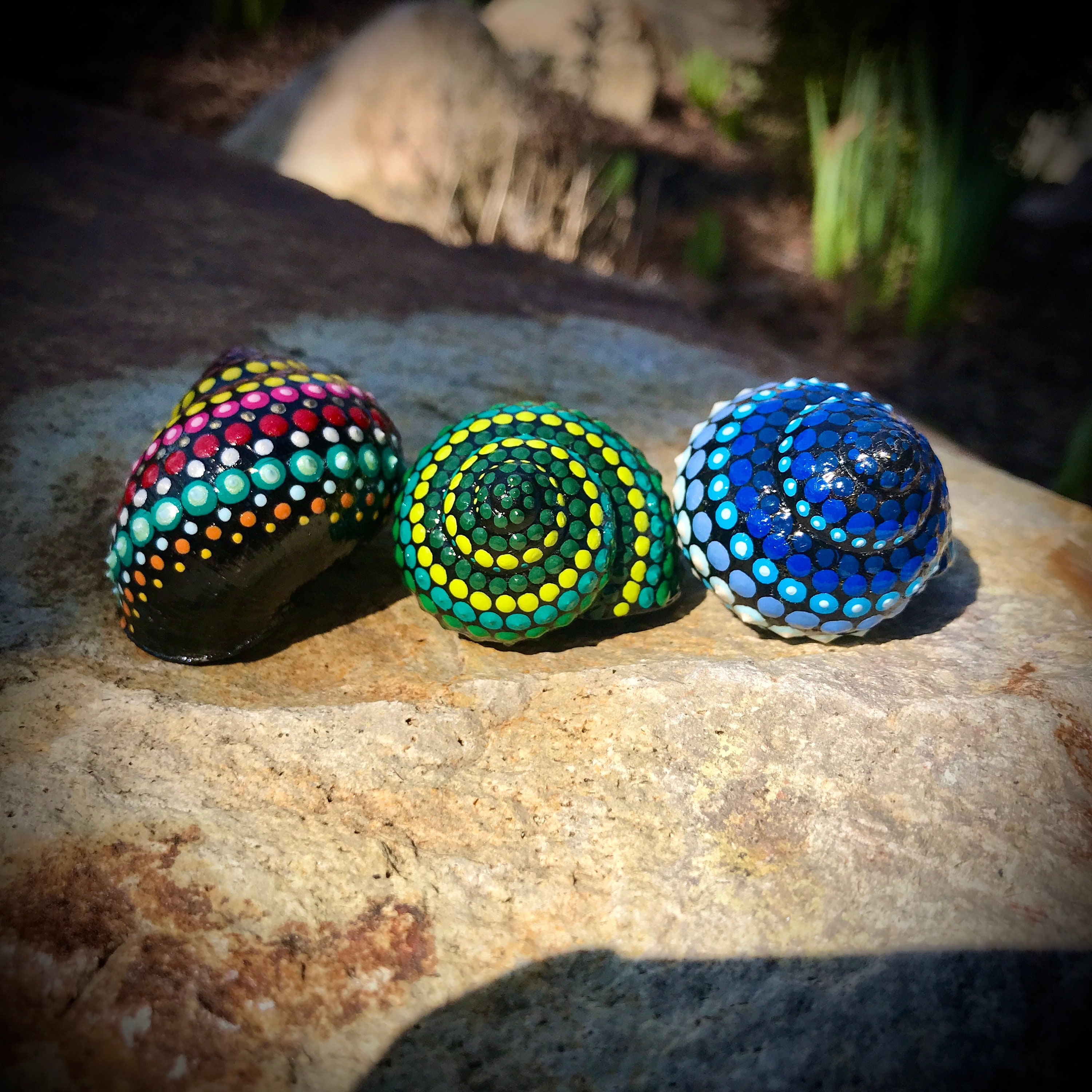 3 Amazing Dot Painted Snail Shells, Mother's Day Gift Idea, Ocean and ...