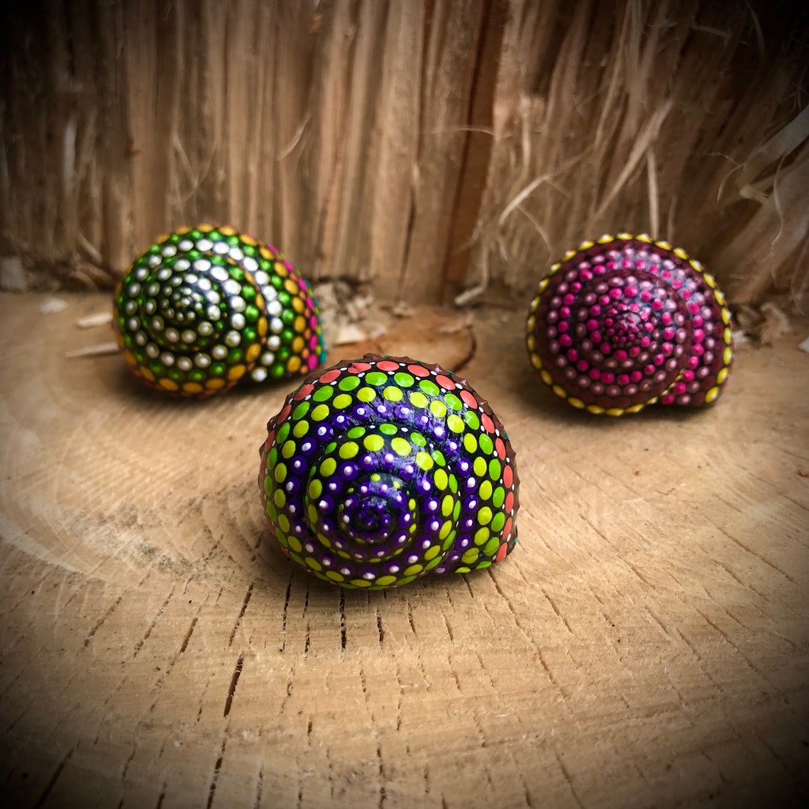 3 Dot Painted Rainbow Coloured Snail Shells, Beautiful Natural Summer ...