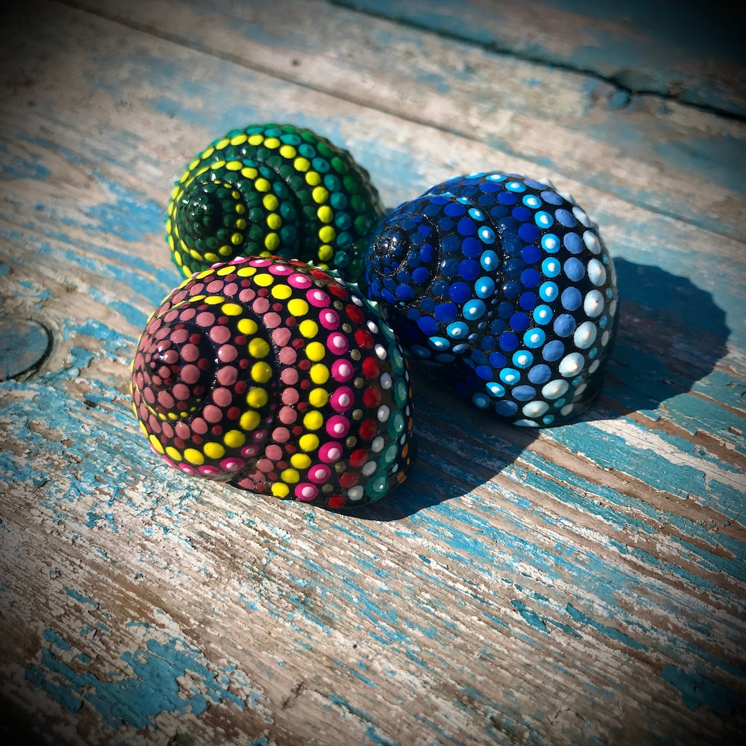 3 Amazing Dot Painted Snail Shells, Autumn Gift Idea, Ocean and Garden ...