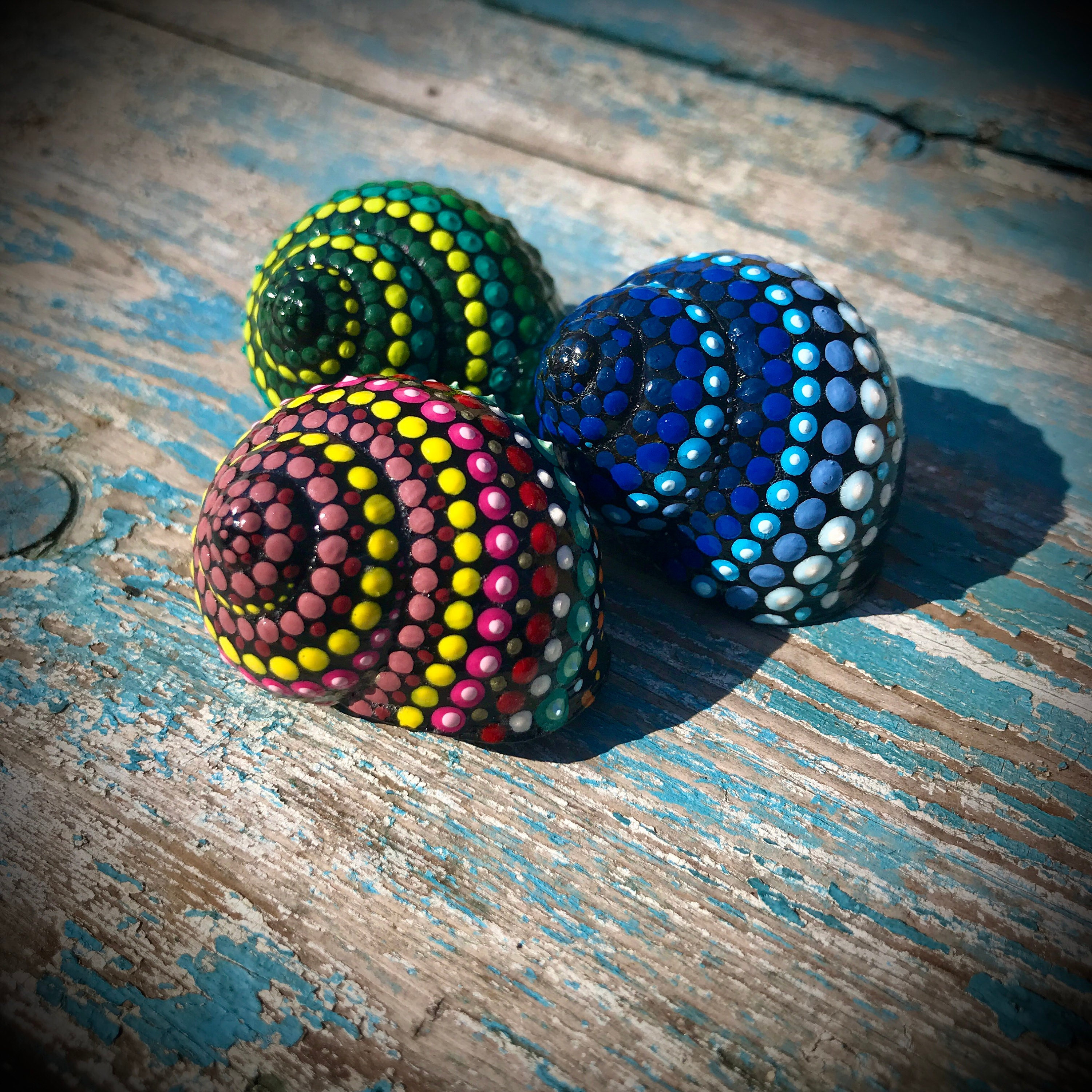 3 Amazing Dot Painted Snail Shells, Mother's Day Gift Idea, Ocean and ...