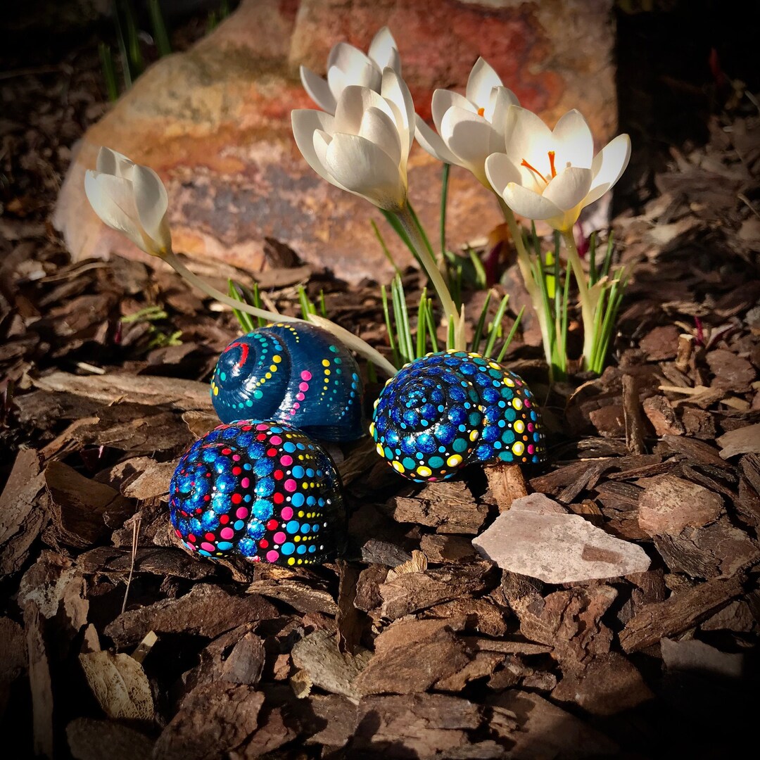 3 Beautiful Dot Painted Snail Shells, Holiday Gift for Friends, Welcome ...