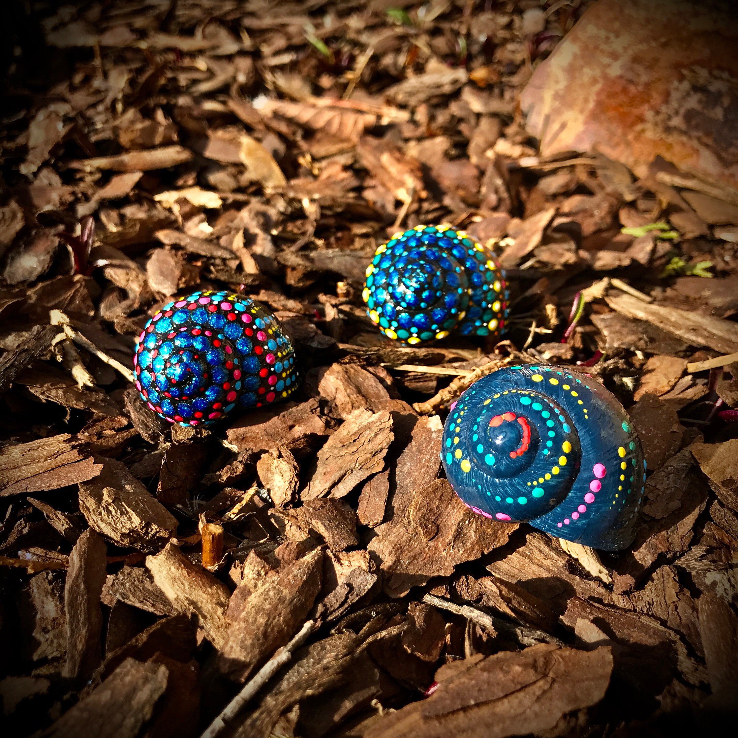 3 Beautiful Dot Painted Snail Shells, Holiday Gift for Friends, Welcome ...