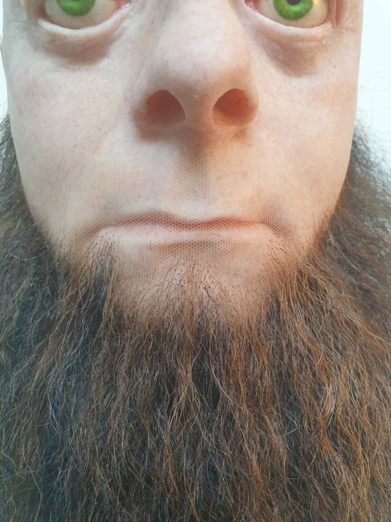 High Quality Beard and Moustache Set for Media and Performance. LI177 ...