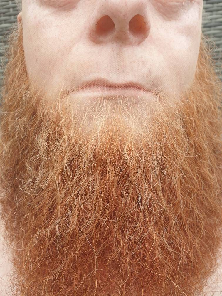 High Quality Beard and Moustache Set for Media and Performance. LI173 ...