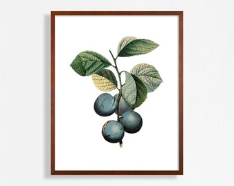 Plum wall art | Etsy