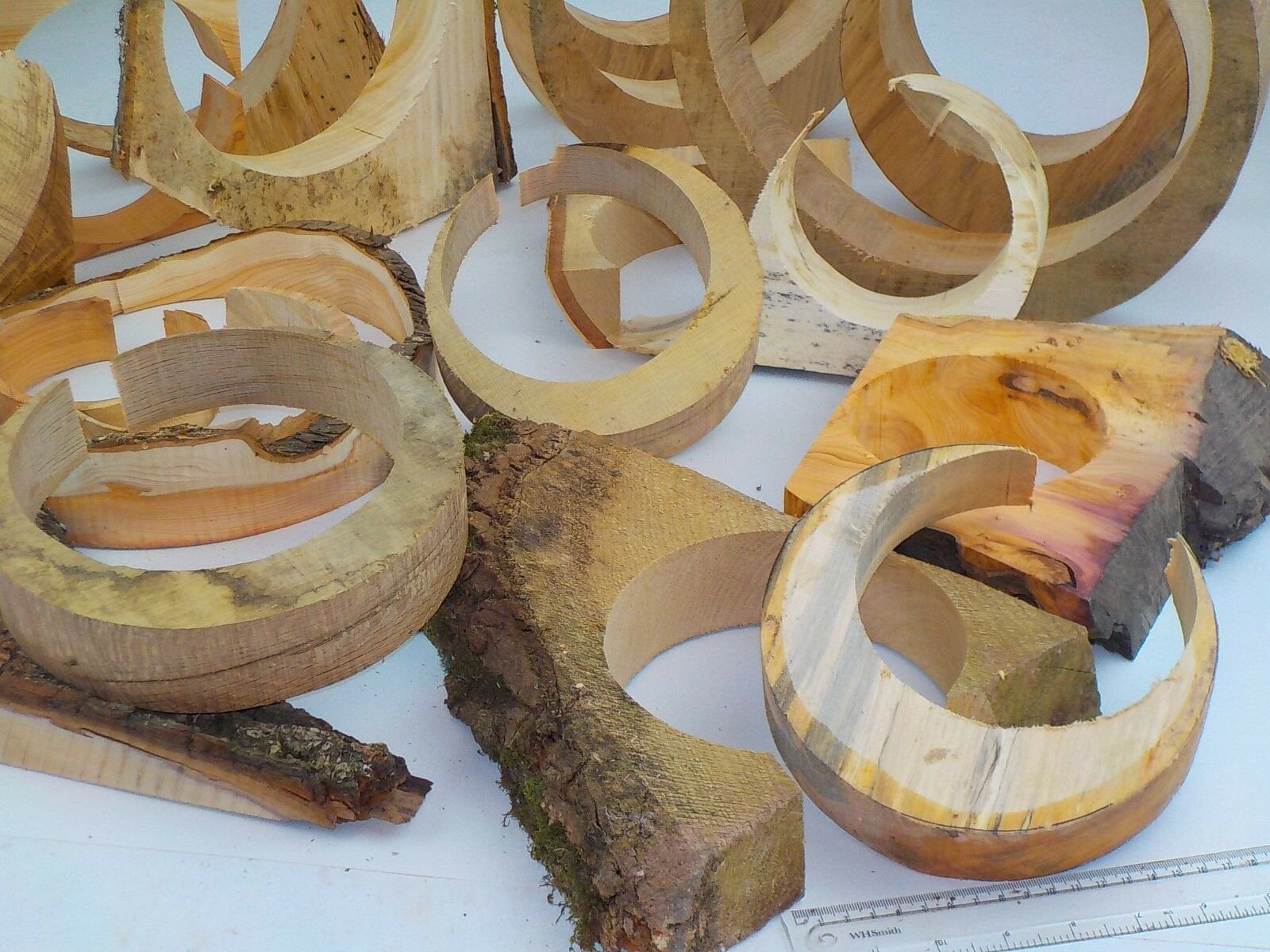 Box of Circular Wood Offcuts. Jewellery Display, Art & Craft, Sculpture ...
