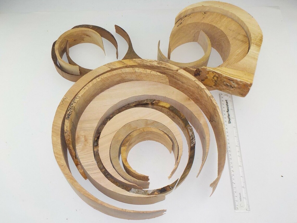 Box of Circular Wood Offcuts. Jewellery Display Art & Craft - Etsy