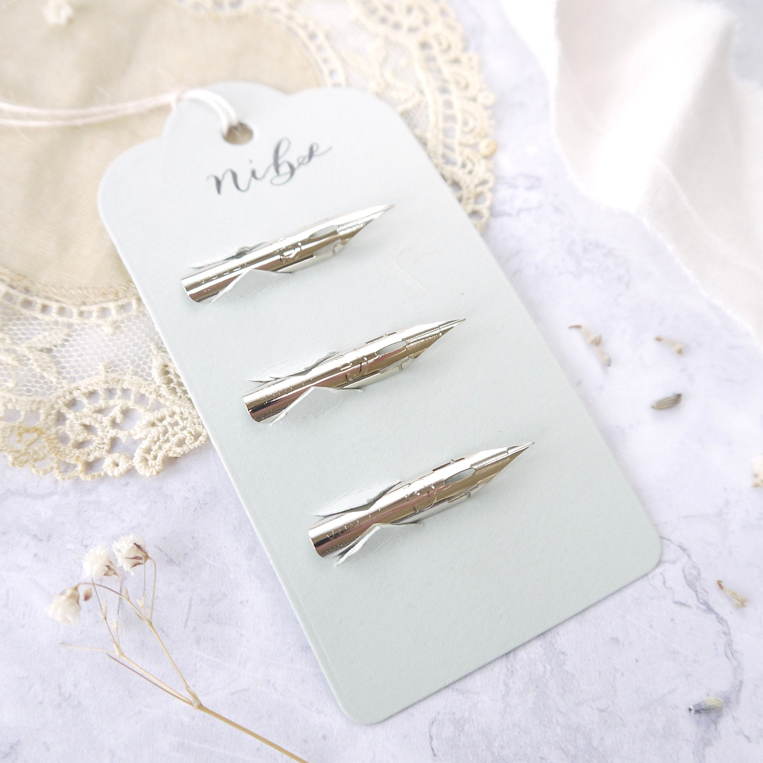 Zebra G Nibs for Beginners Modern Calligraphy Nibs Writing | Etsy