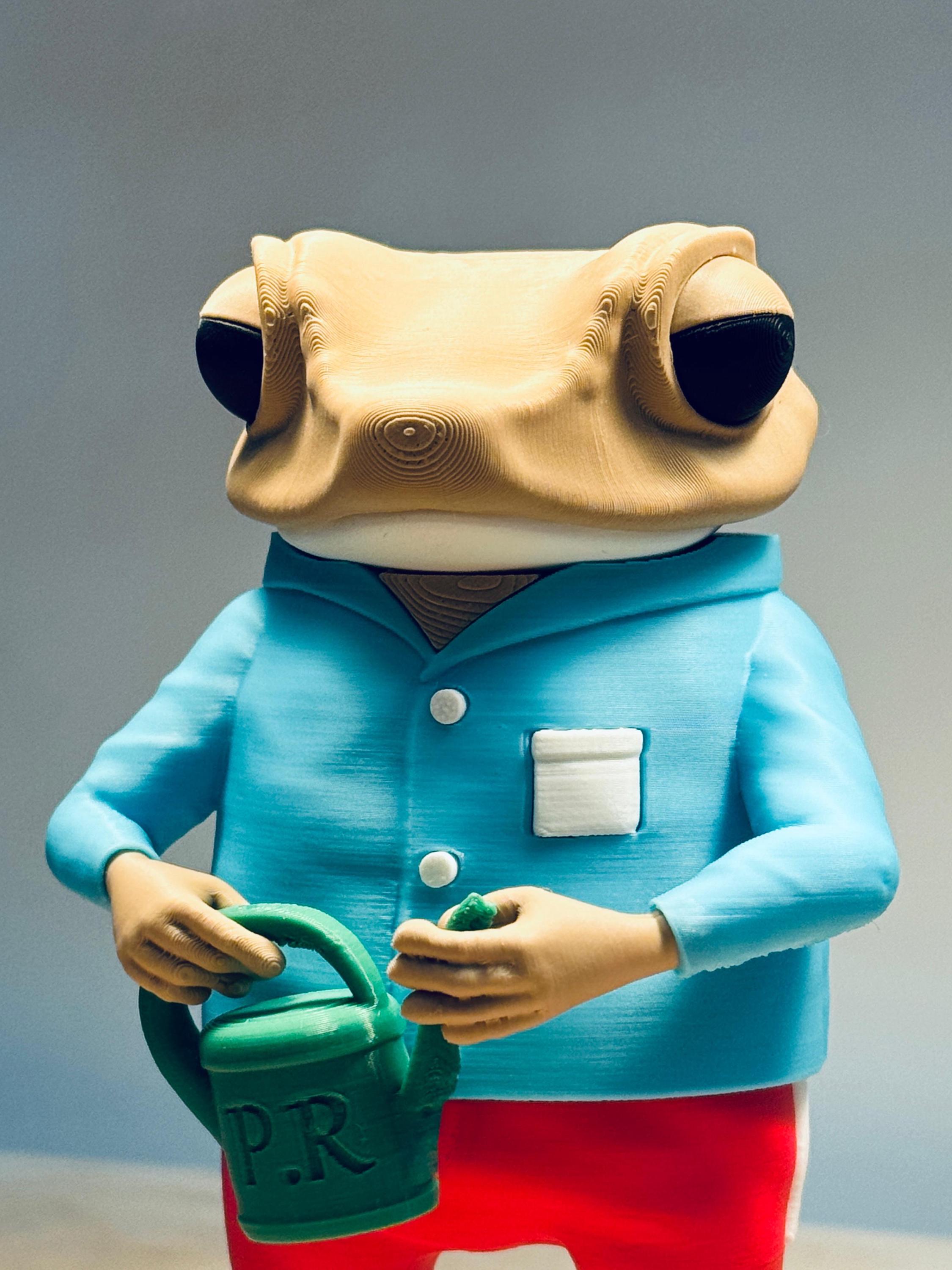 Sapo Concho Figurine Watering Plants | Puerto Rican Coqui Frog ...