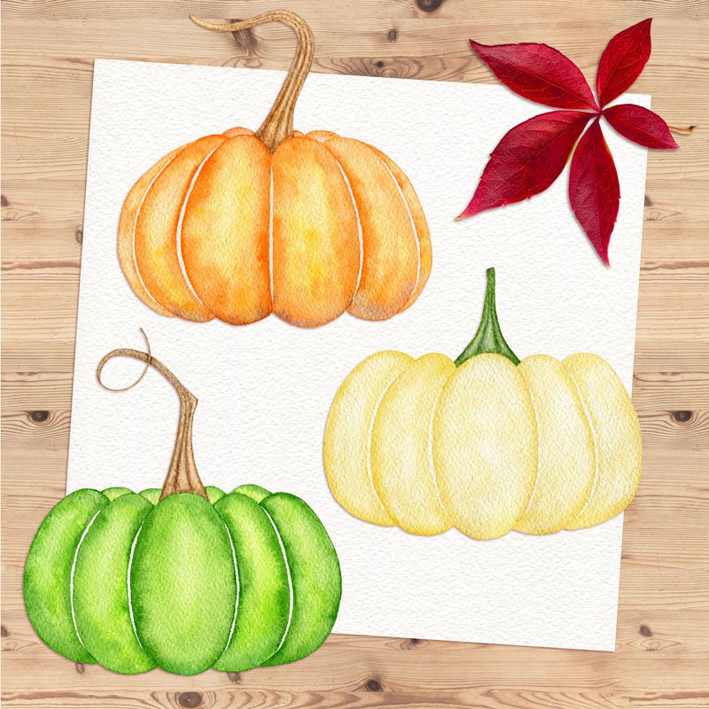 Watercolor Pumpkin Clipart Set Fall Watercolor Clipart - Etsy