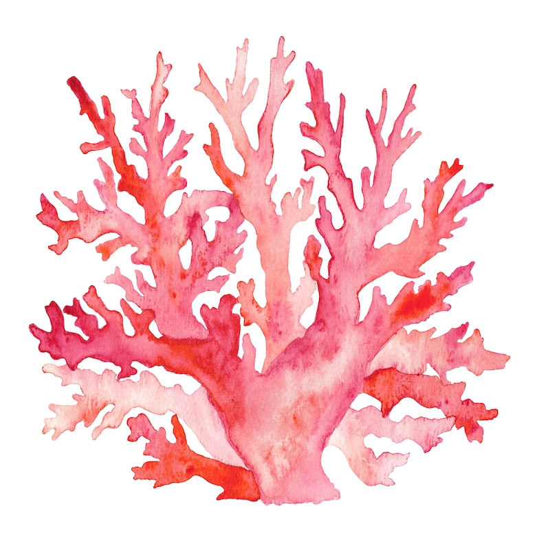 Printable Watercolor Painting Coral Poster - Etsy