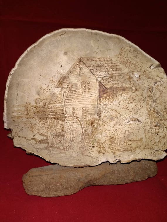 Drawn Art to Tree Fungus or Mushroom - Etsy