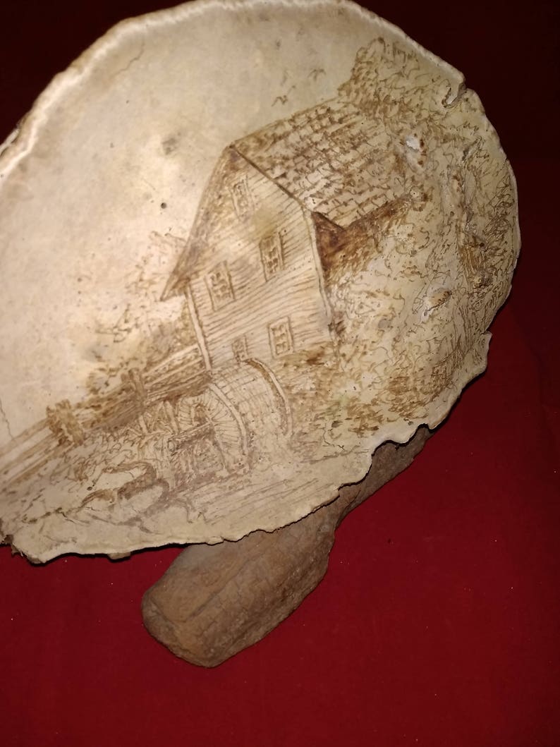 Drawn Art to Tree Fungus or Mushroom - Etsy