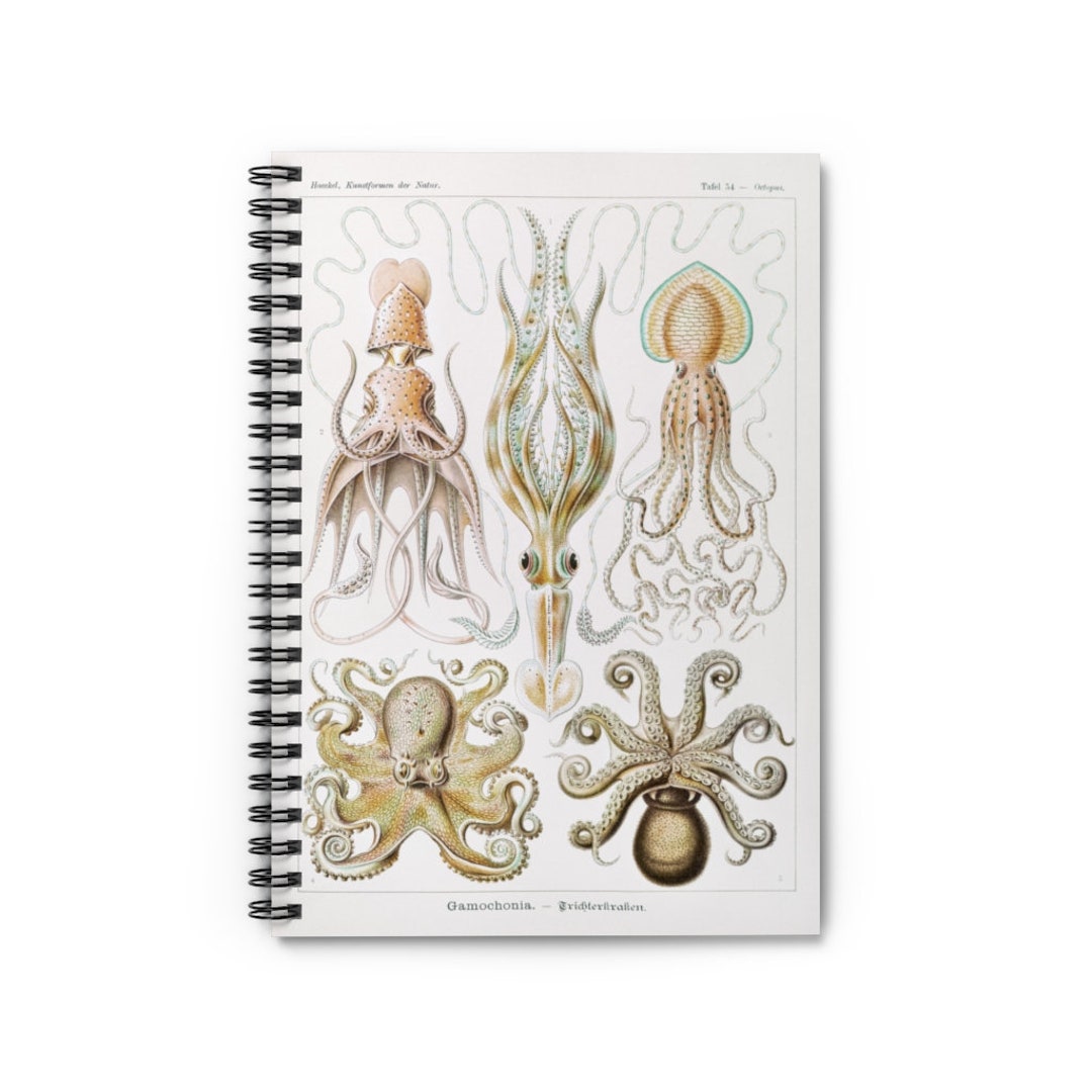 Cephalopods Ruled Spiral Notebook - Etsy