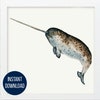 Narwhal Poster Watercolor Print Art Print Arctic Whale Print Beach ...