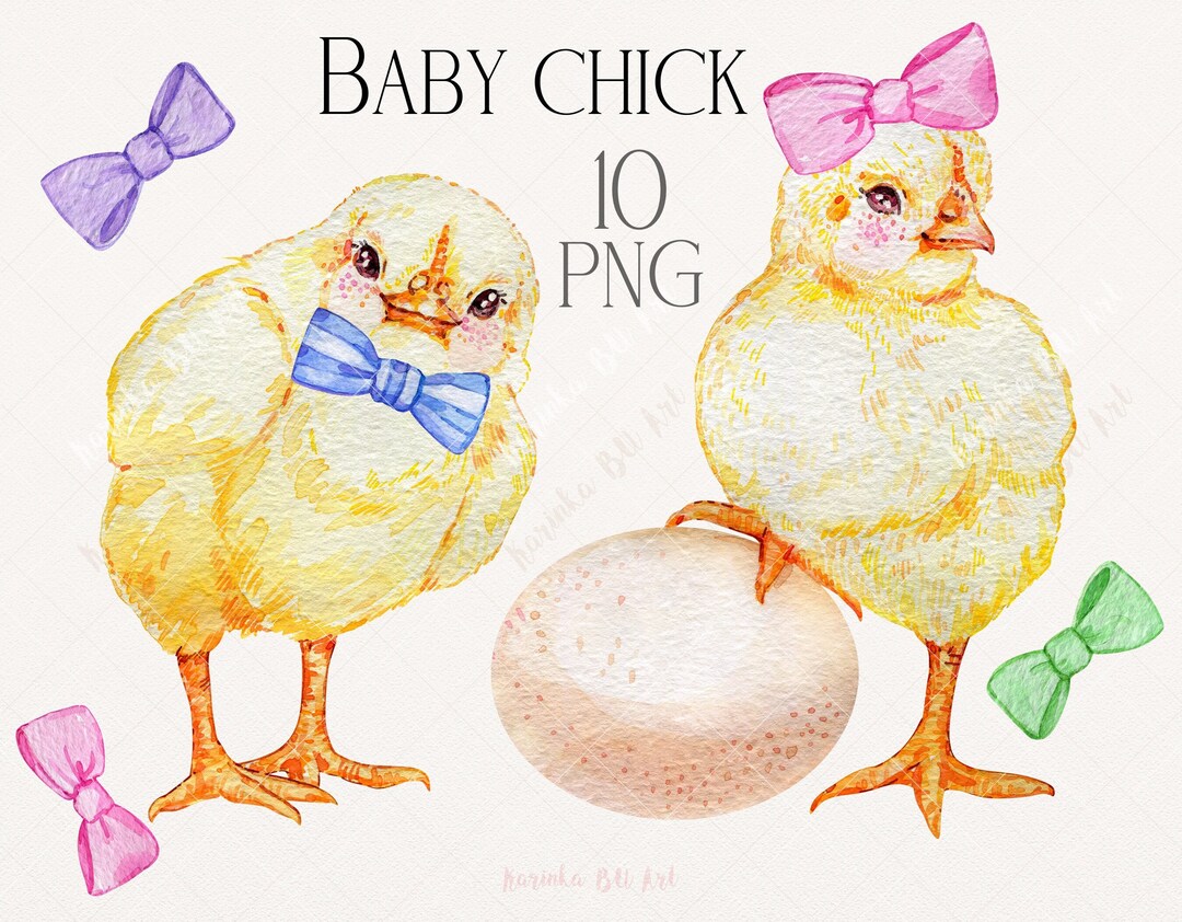 Scrapbooking Watercolor Clipart. Farm Birds Clipart Watercolor PNG ...