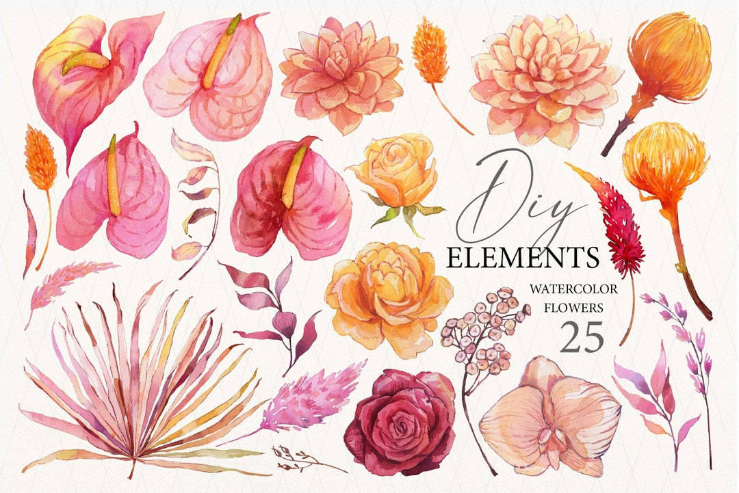 Floral Elements Boho Clipart Purple Flower Png Marsala Flowers ...