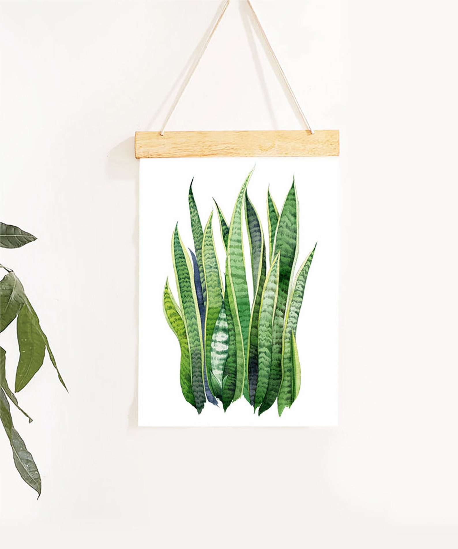 Snake Plant Print Sansevieria Botanical Print Watercolor | Etsy