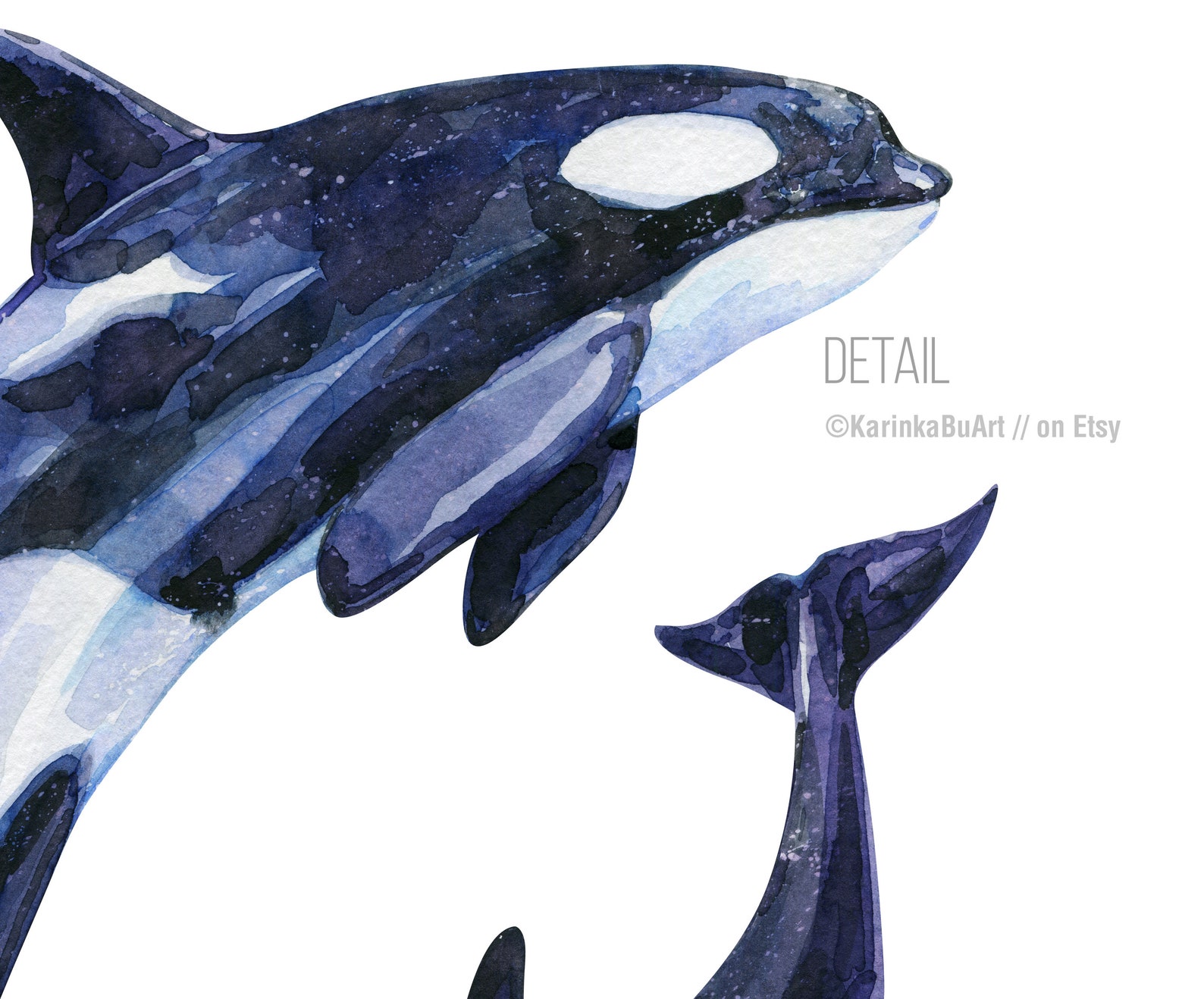 Orca Painting Killer Whale Print Watercolor Print Poster Sea | Etsy