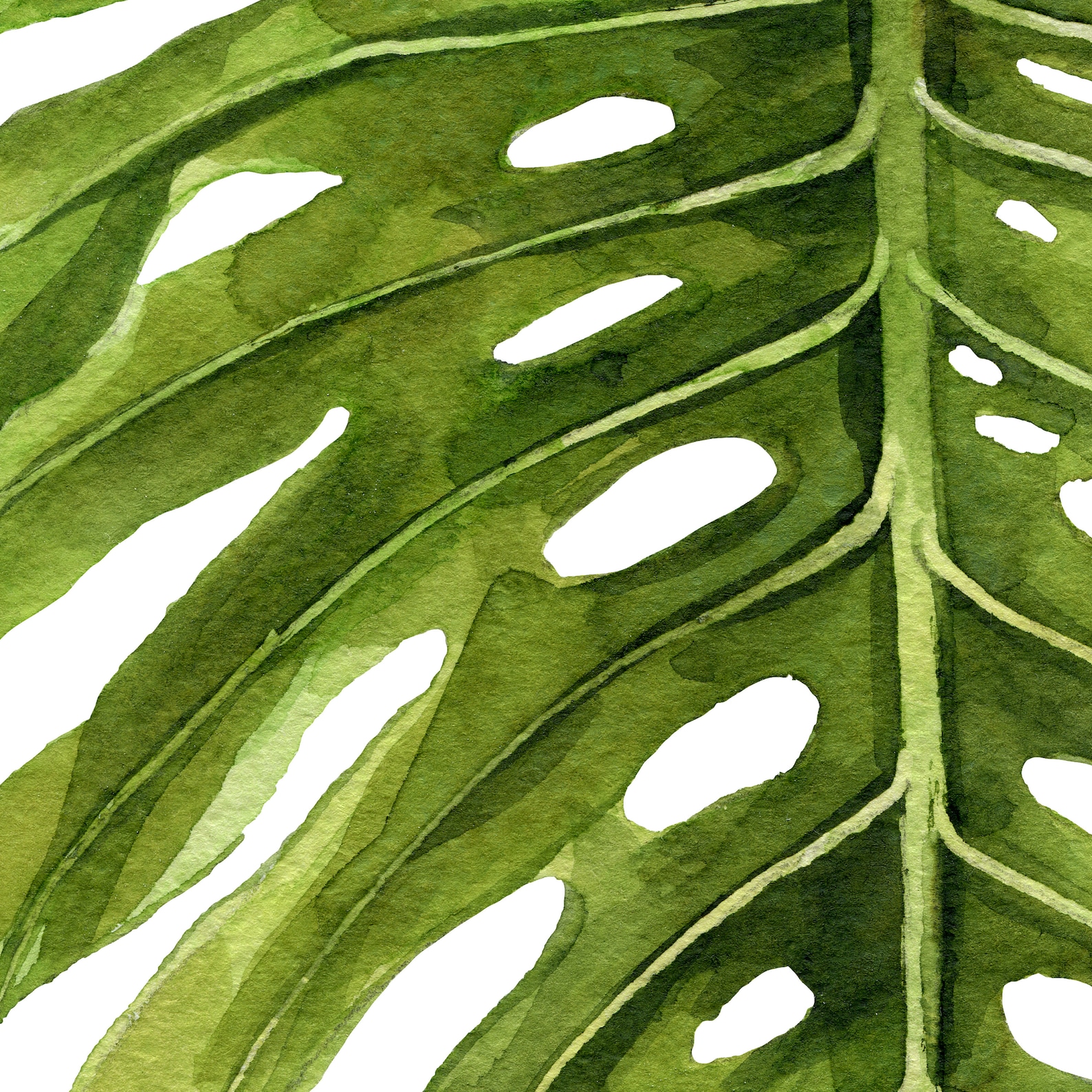Monstera Leaf Botanical Wall Art Print Tropical Monstera | Etsy