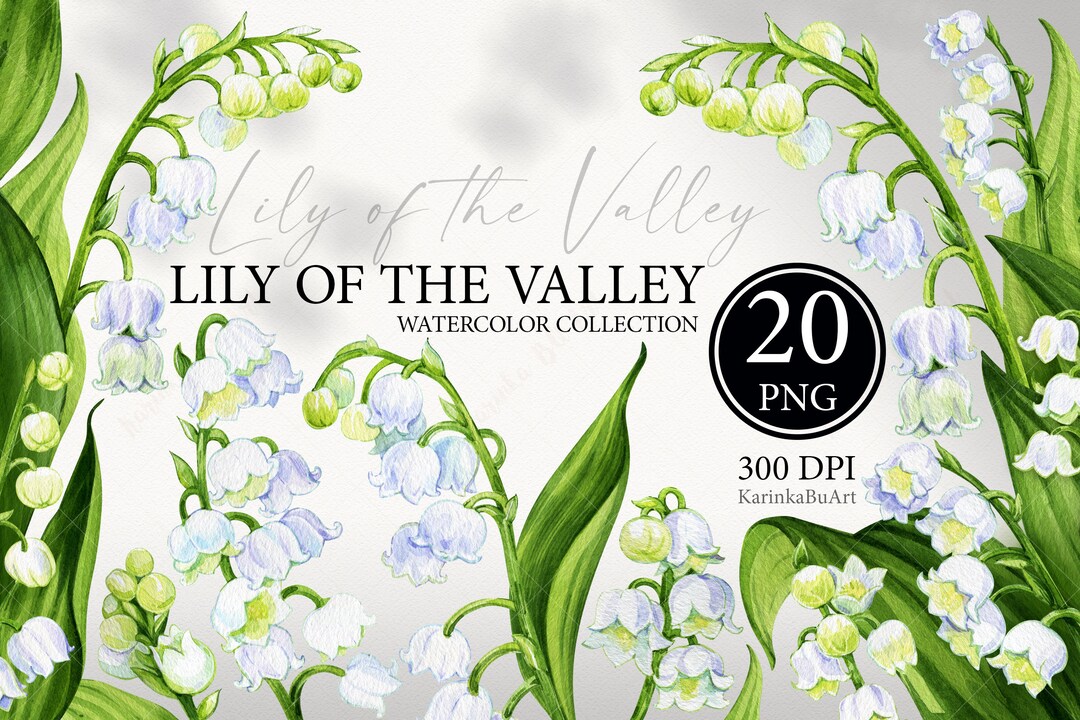 Watercolor Lily of the Valley Clipart Set. Hand Painted Spring White ...