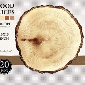Watercolor Illustration of Wood Slices Png Watercolor Forest Clipart ...