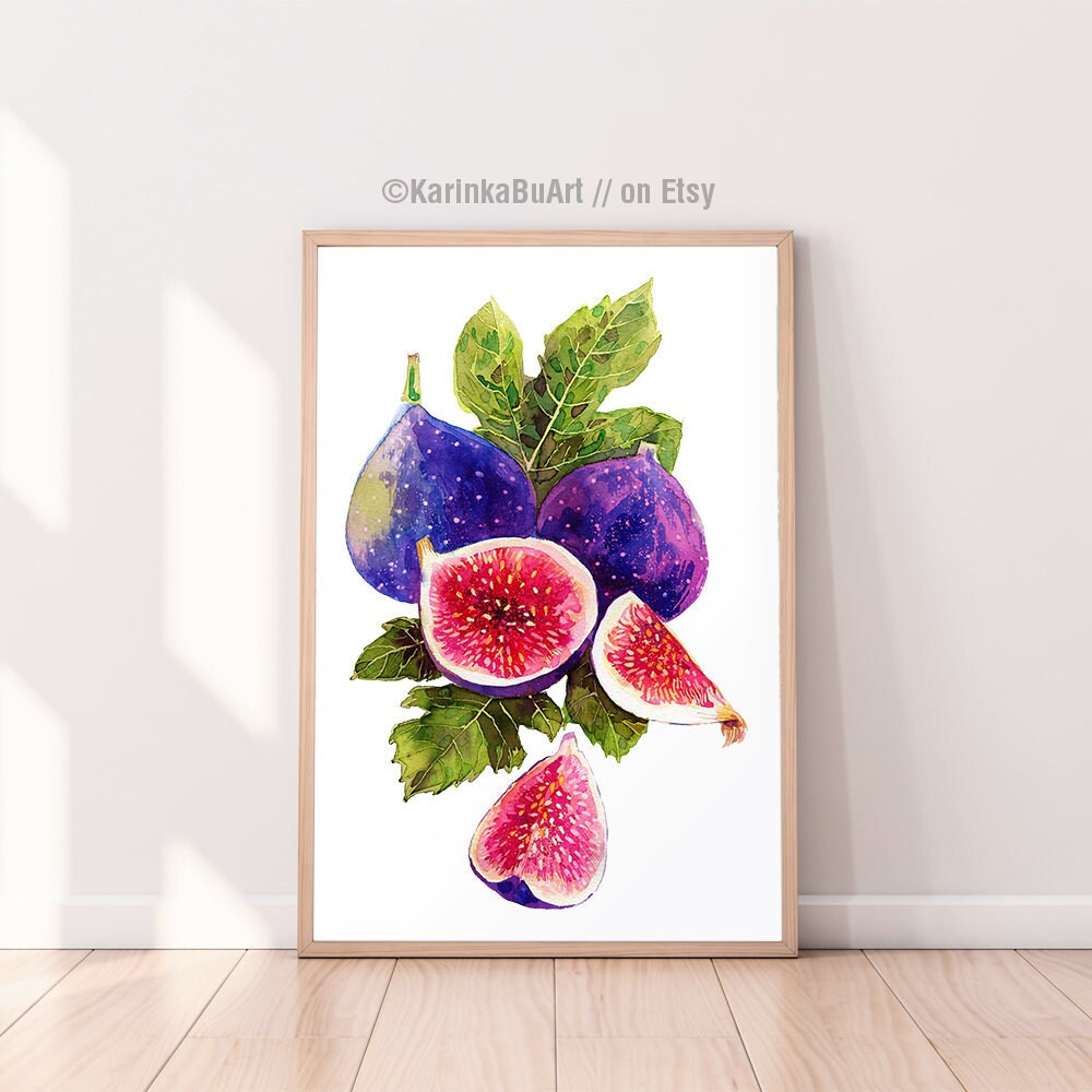 Watercolour Clip Art Figs printable wall art prints Poster Fig | Etsy