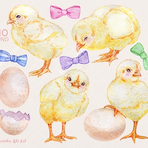 Scrapbooking Watercolor Clipart. Farm Birds Clipart Watercolor PNG ...