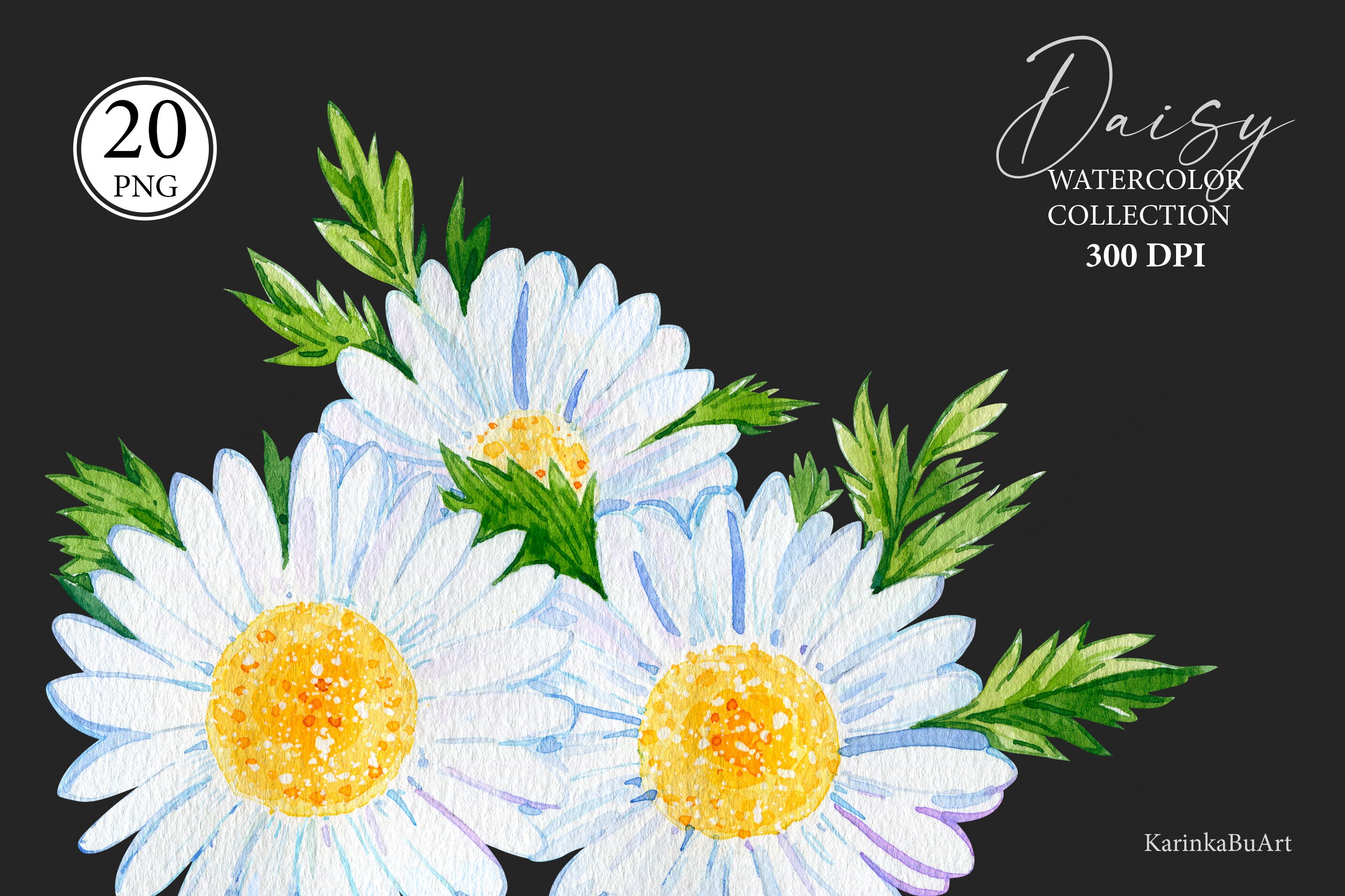 Watercolor Daisy Flower Clipart. Spring Meadow. Camomile Png. - Etsy